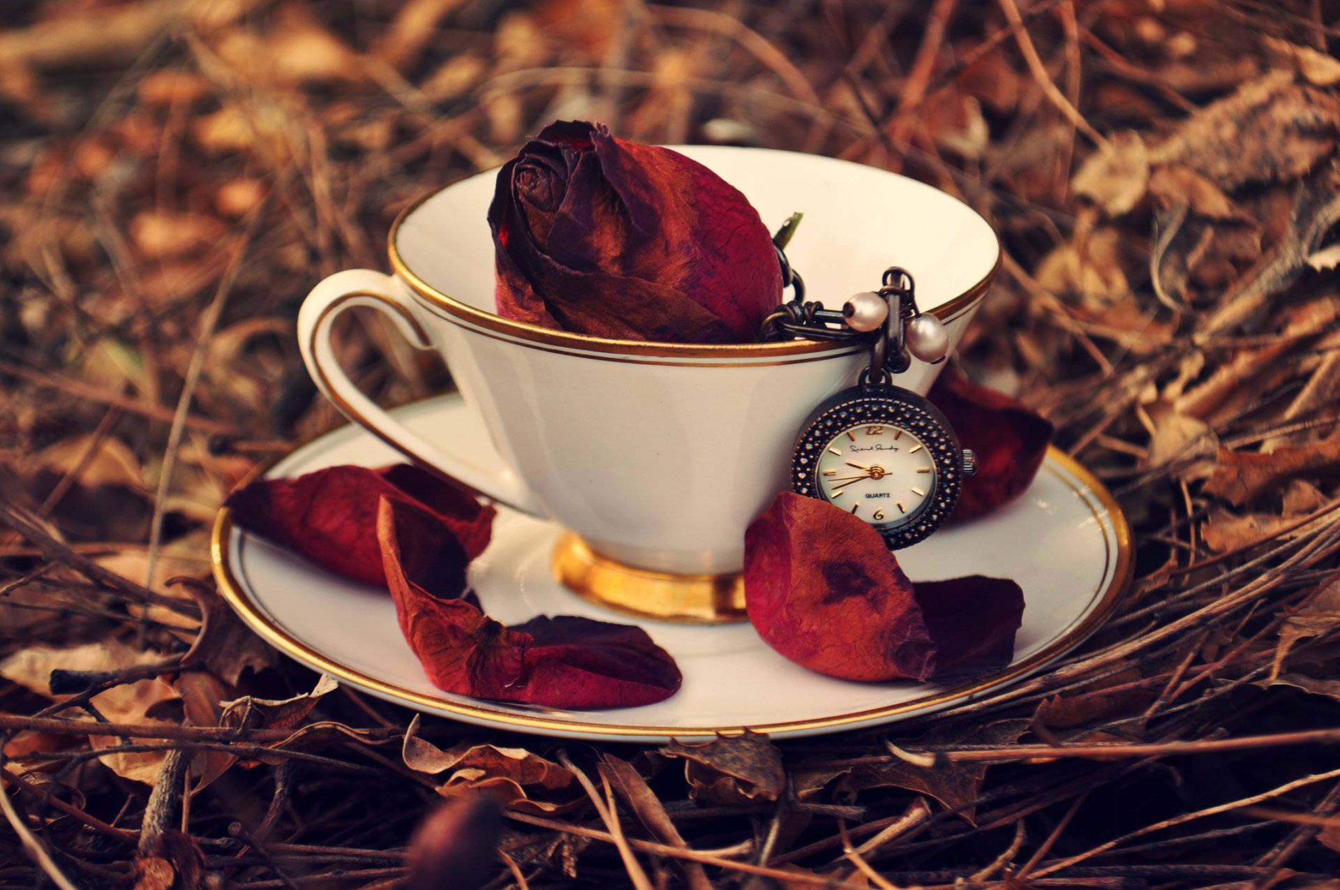 Timeless Still Life: Vintage Elegance in HD Photography