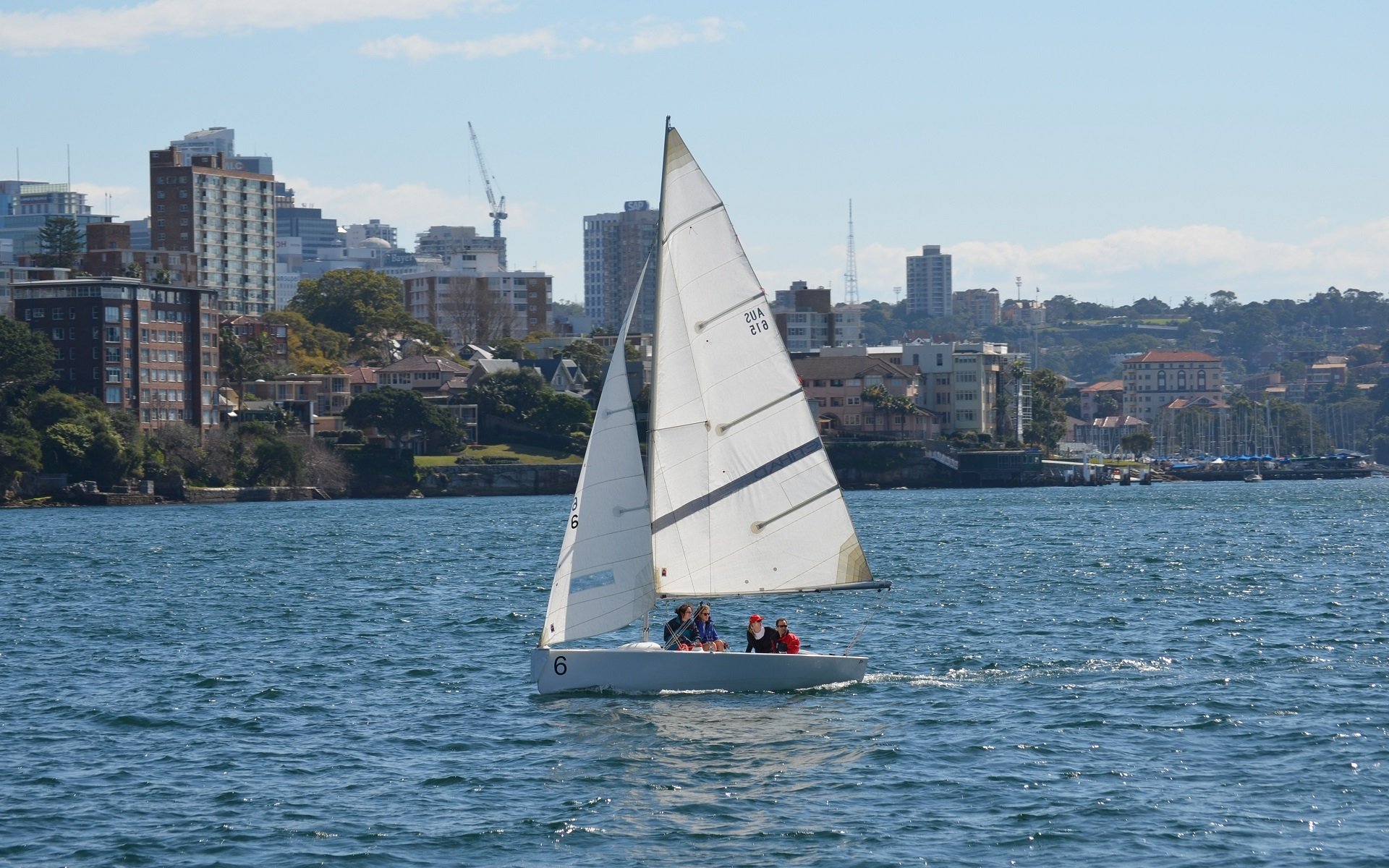 Sail Boat On Sydney Harbour by lonewolf6738