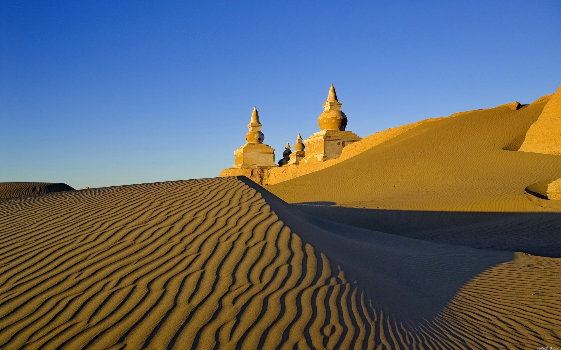 Golden Desert Dunes: A Stunning Nature HD Wallpaper | 2560x1600 ...