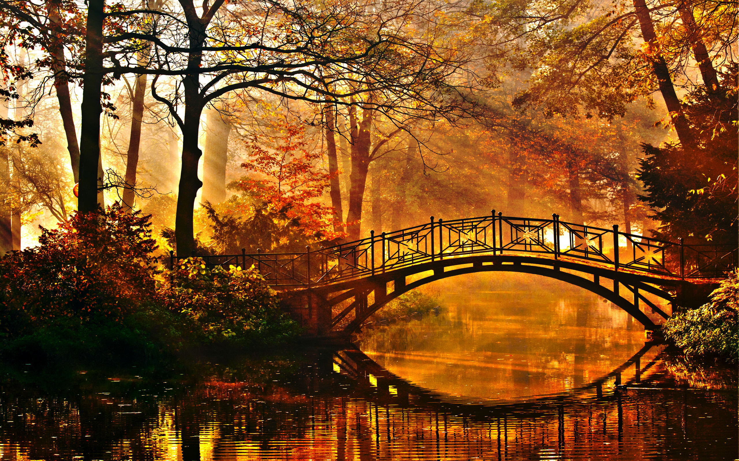 Autumn Glow Bridge – Stunning HD Man-Made Landscape Wallpaper