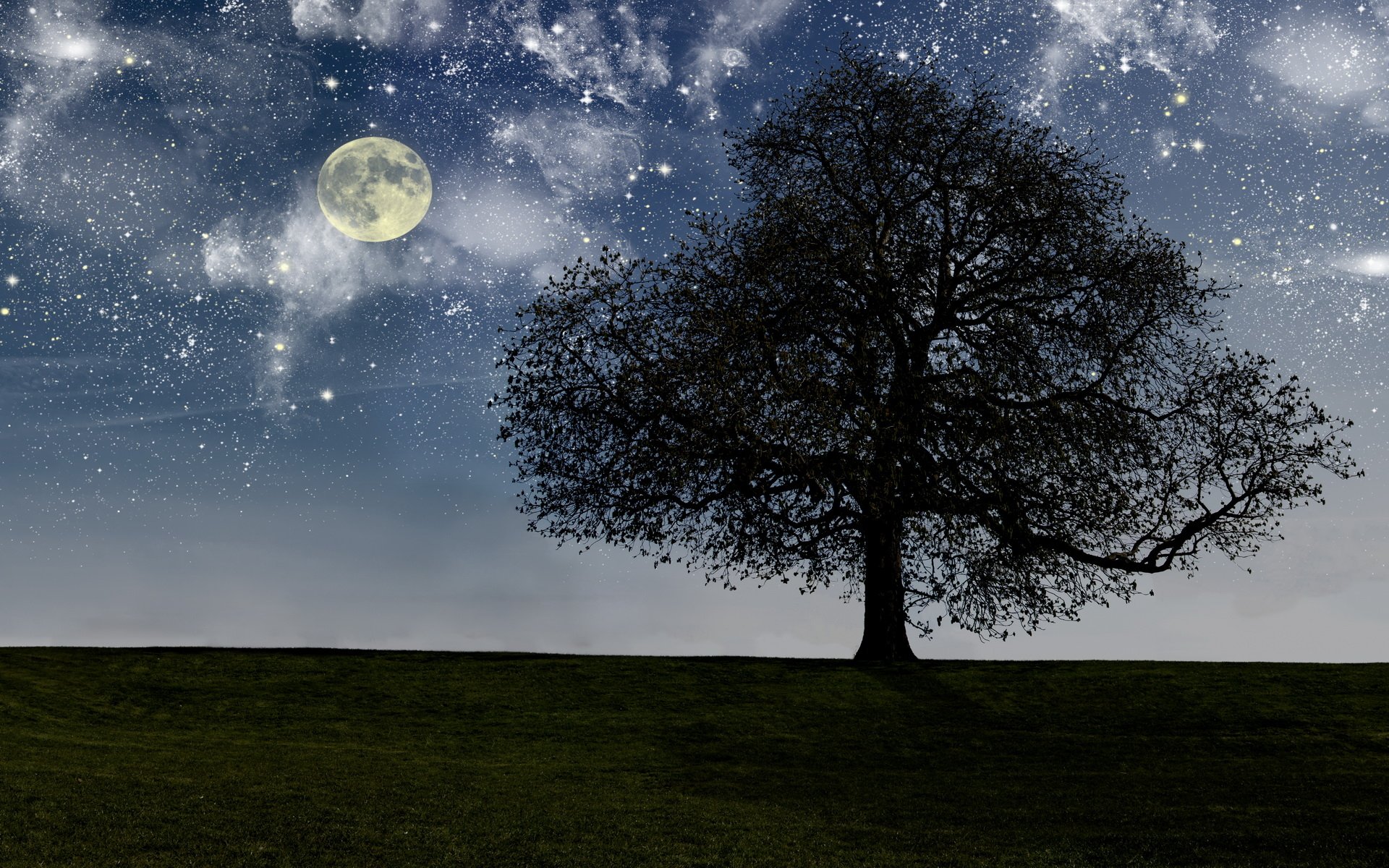 Serene Moonlit Nature HD Wallpaper