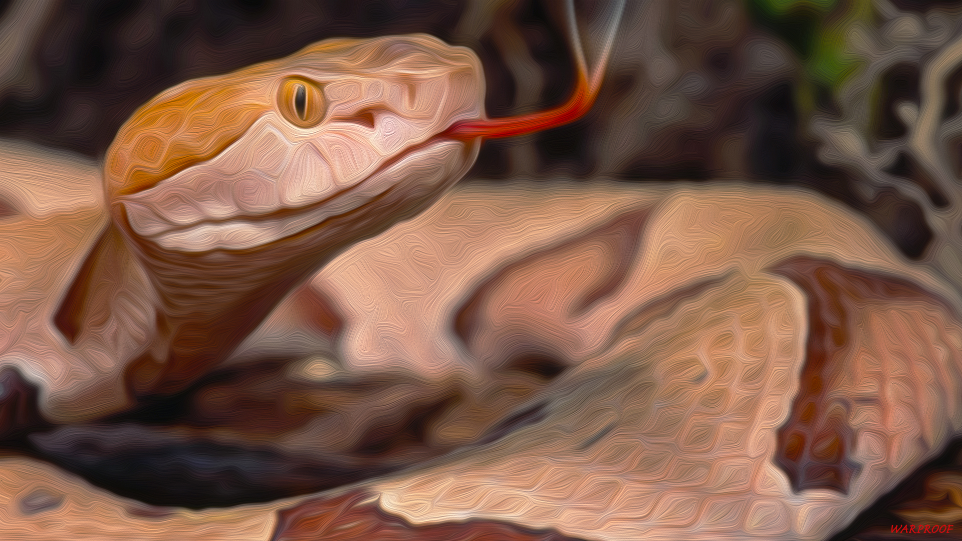 Download Animal Snake HD Wallpaper by WARPROOF