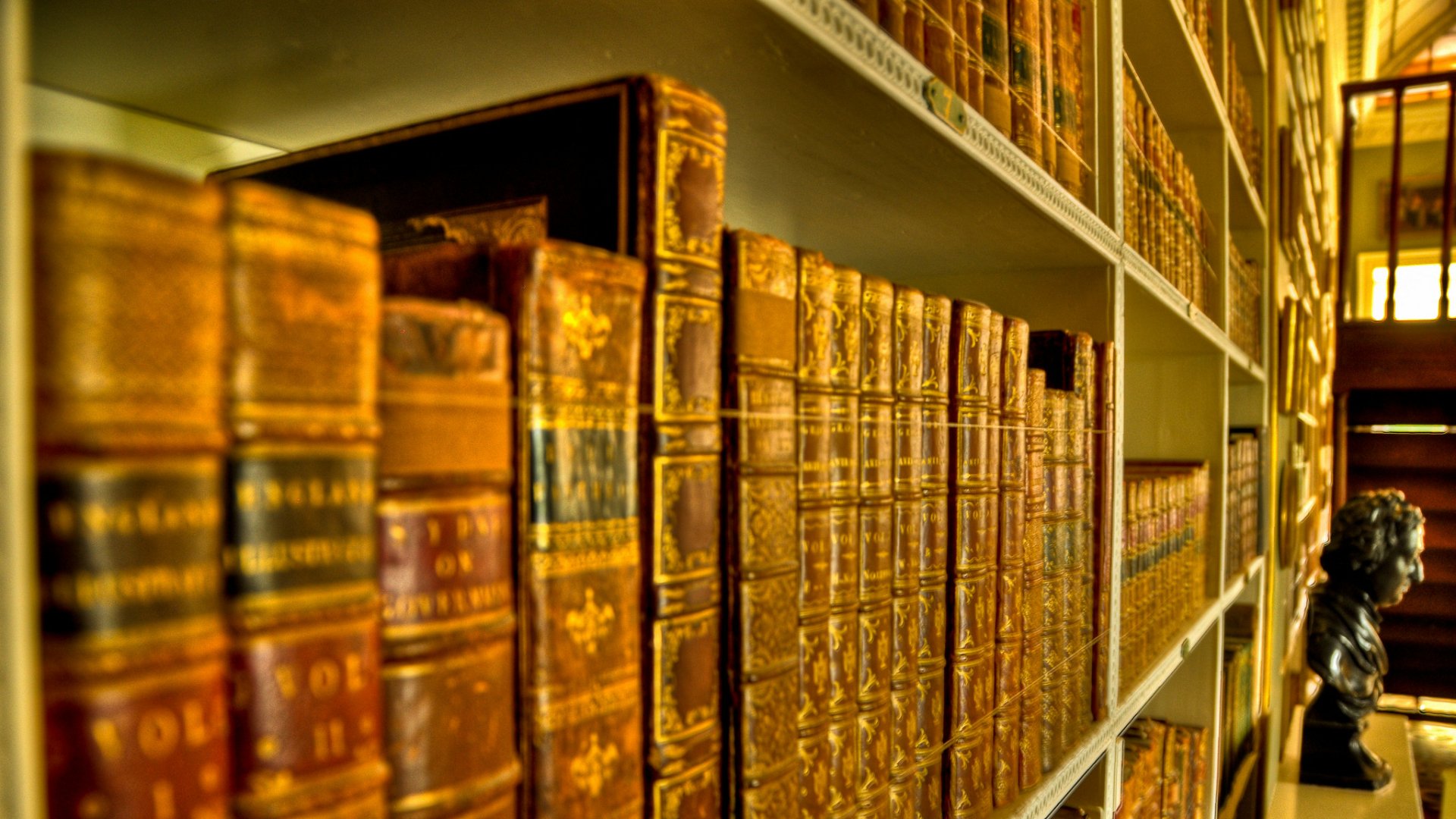 Timeless Treasures: The Man-Made Library in HD Glory