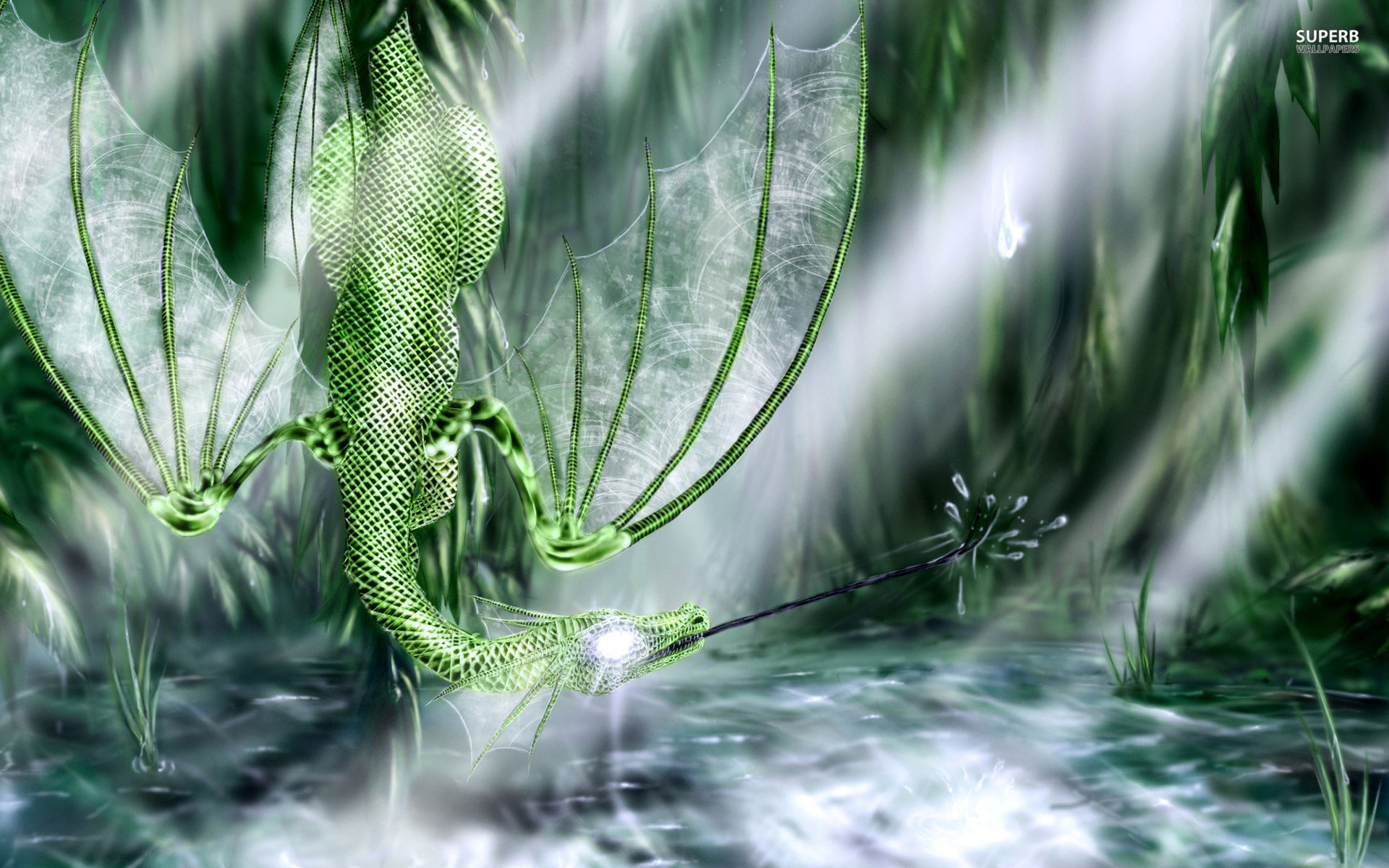 Nature Dragon Wallpaper For Windows