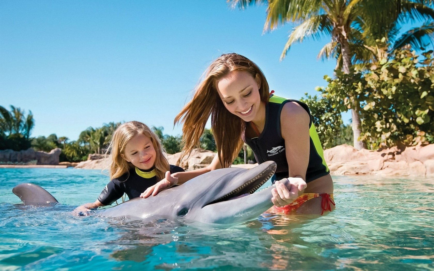 Sunlit Dolphin Encounter — HD Ocean Wallpaper | 1680x1050 | Wallpaper Abyss