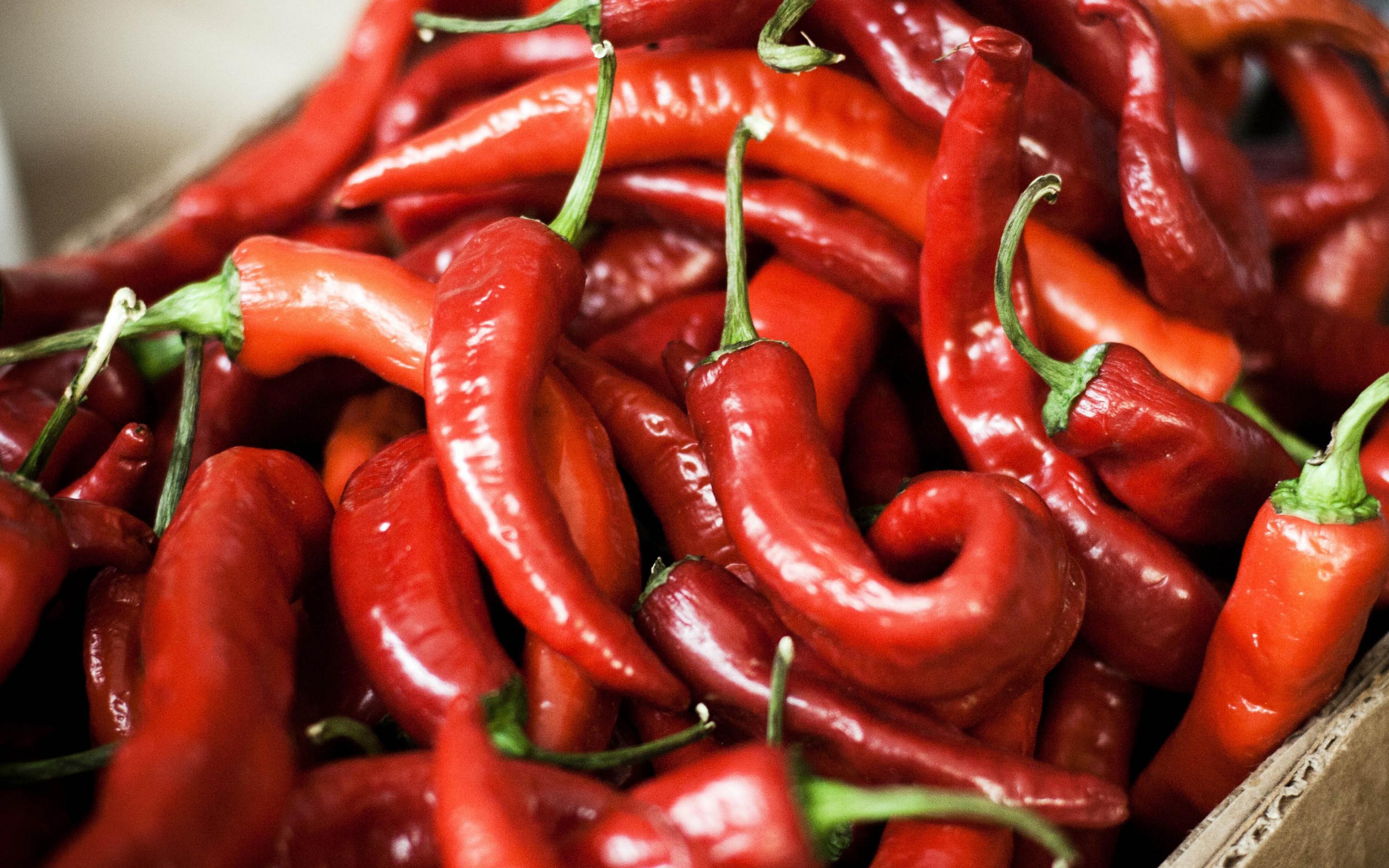 Download Food Pepper HD Wallpaper