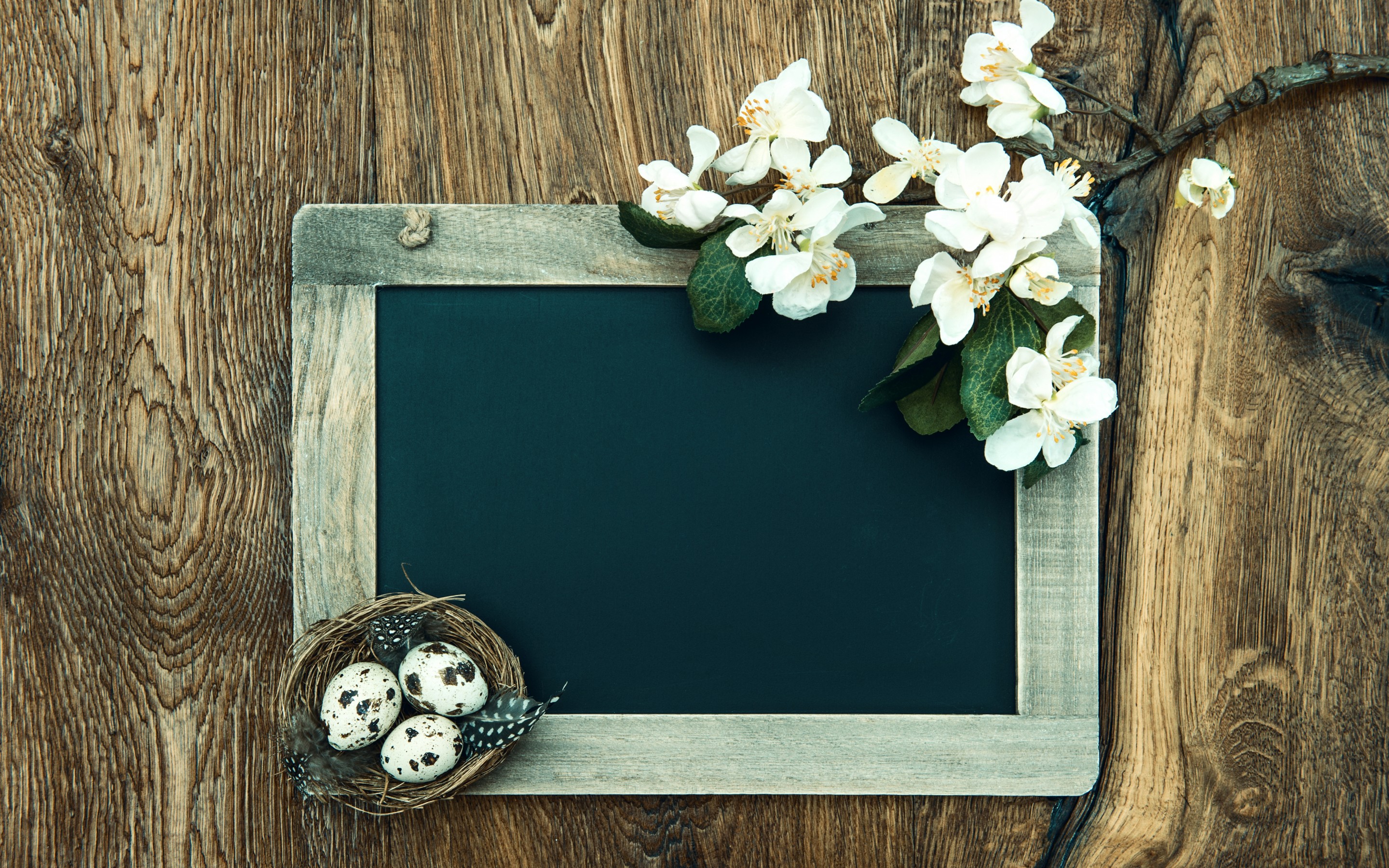 Download Photography Still Life HD Wallpaper