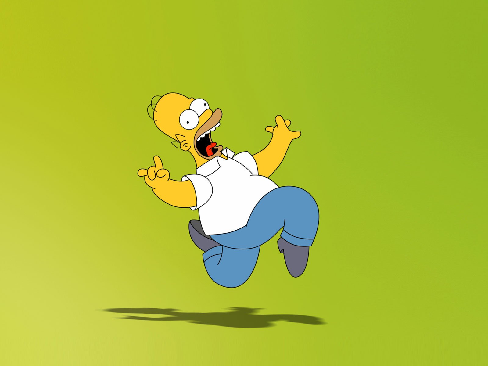 Download Homer Simpson TV Show The Simpsons Wallpaper