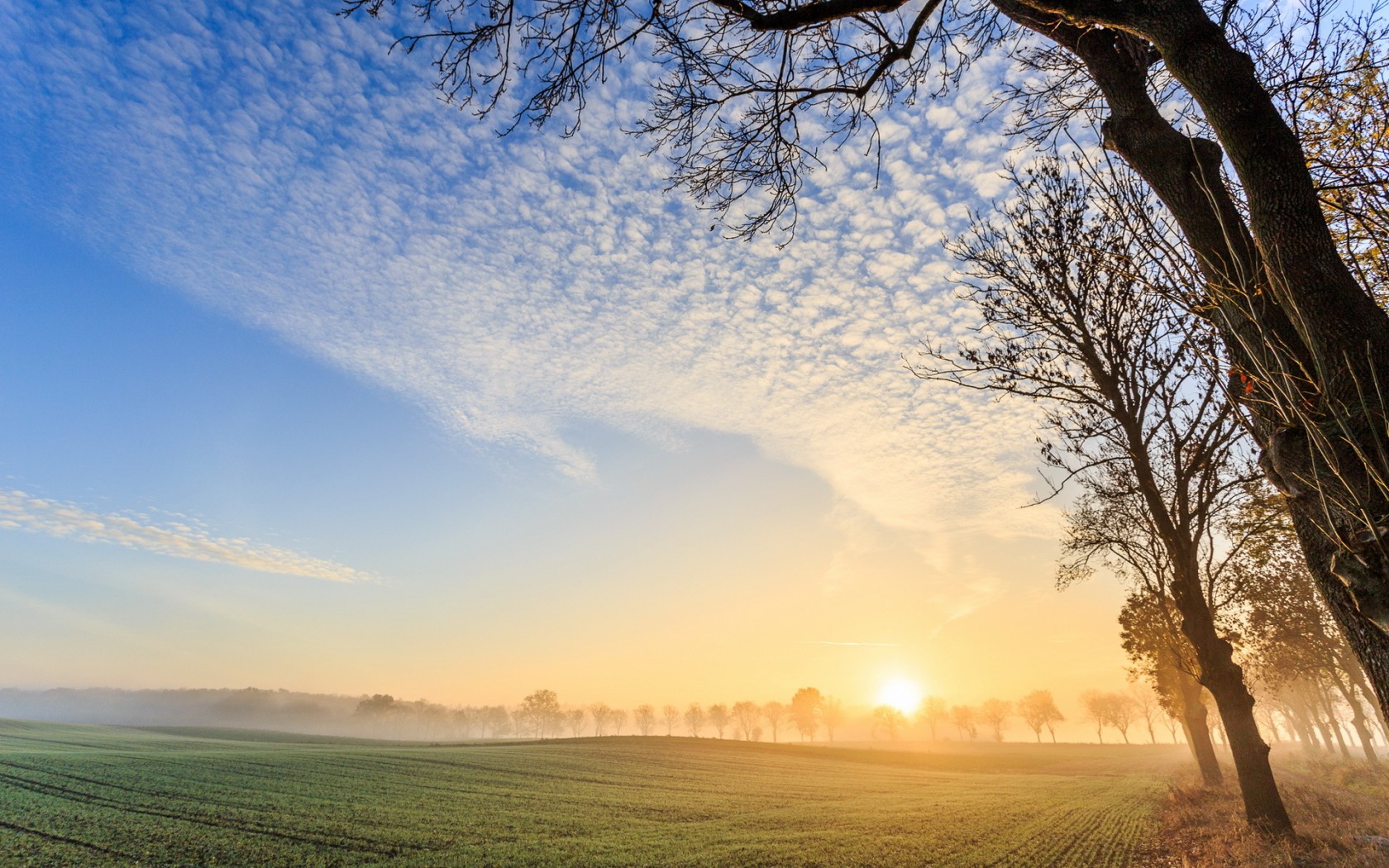 Download Nature Sunrise Wallpaper