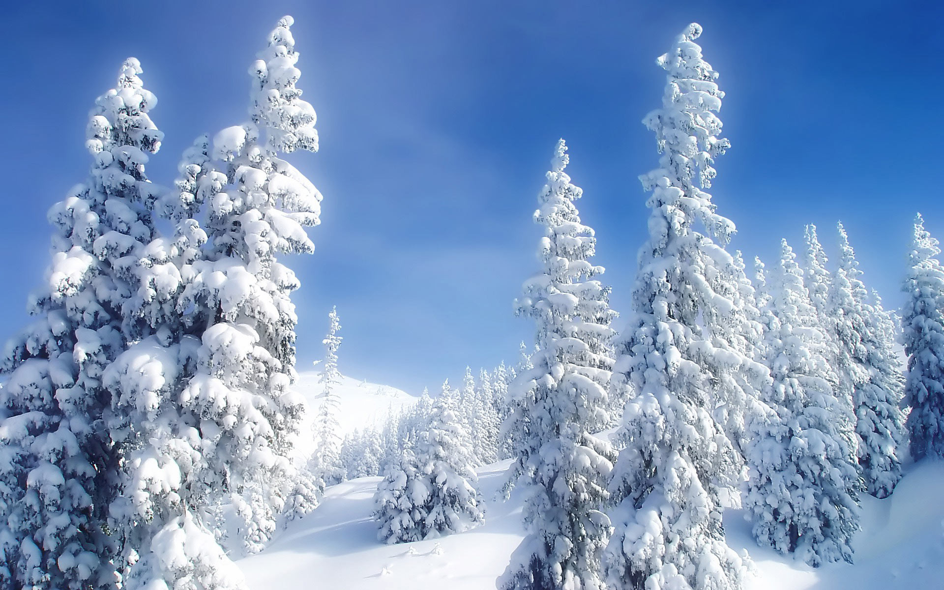Sfondi Neve Hd