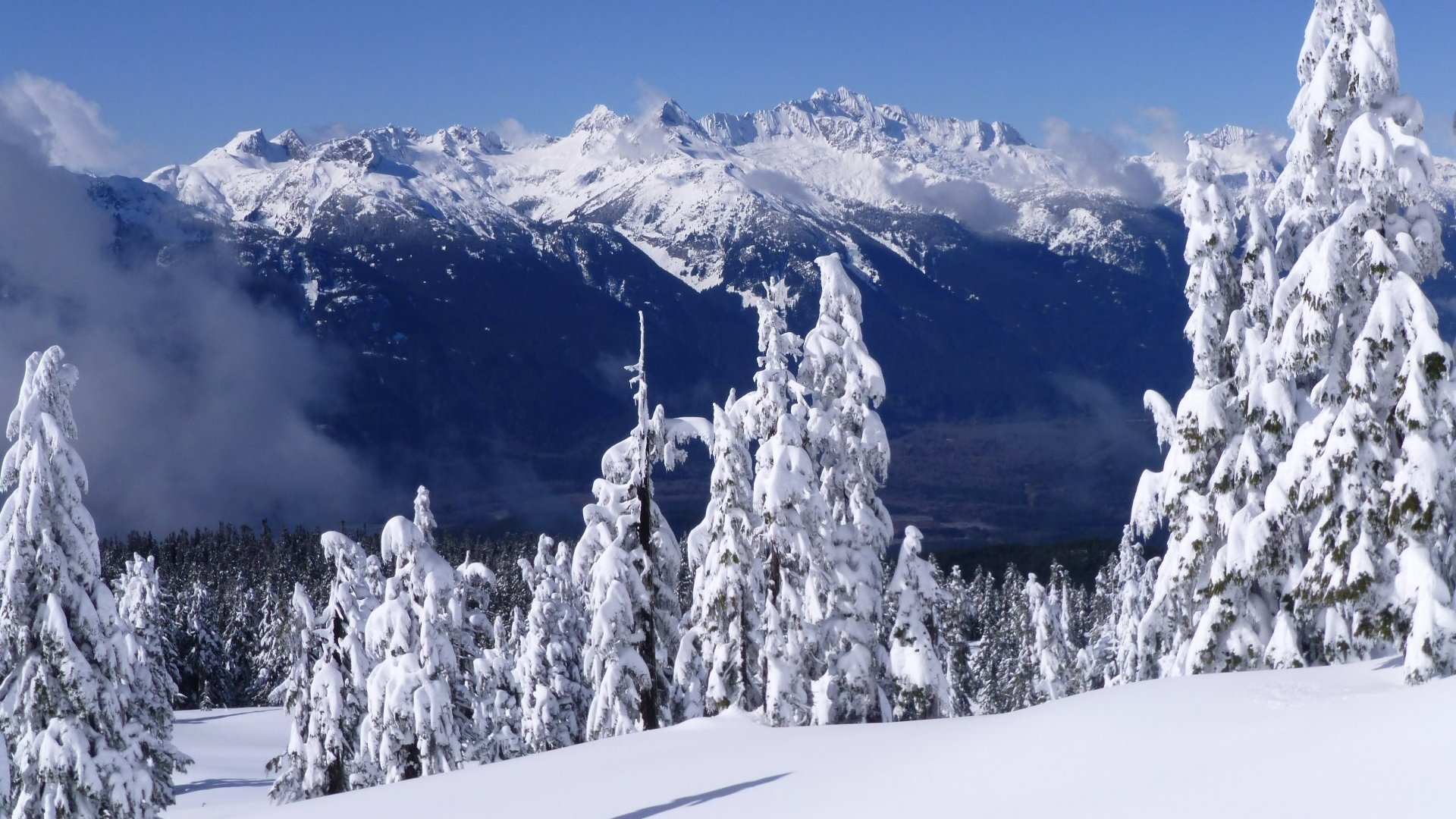 Winter Majesty: 4K Ultra HD Snowy Nature Panorama | 3840x2160 ...