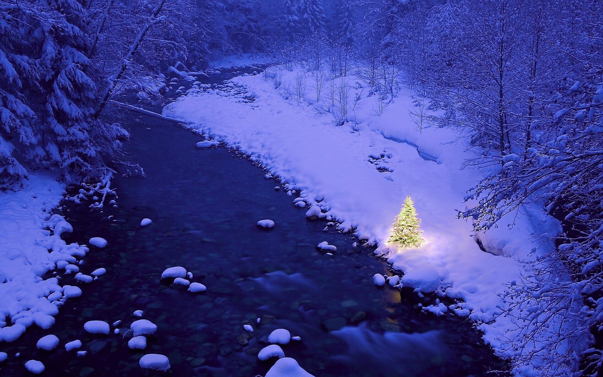 **Winter Wonderland: Serene River & Christmas Tree HD Wallpaper**