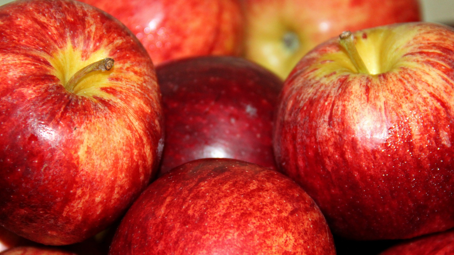 Download Food Apple HD Wallpaper