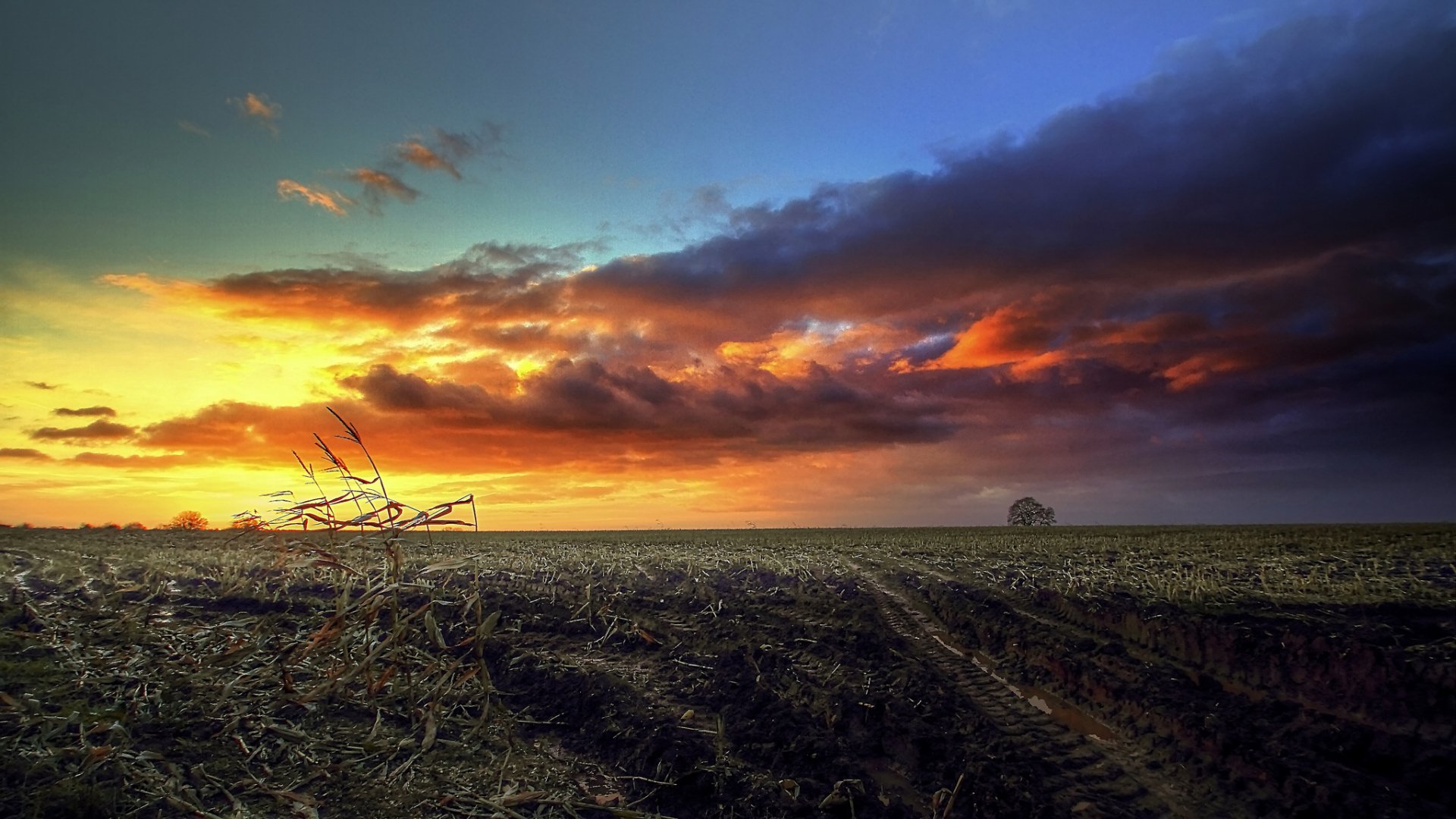 Sunset Serenity Over Endless Fields - HD Nature Wallpaper