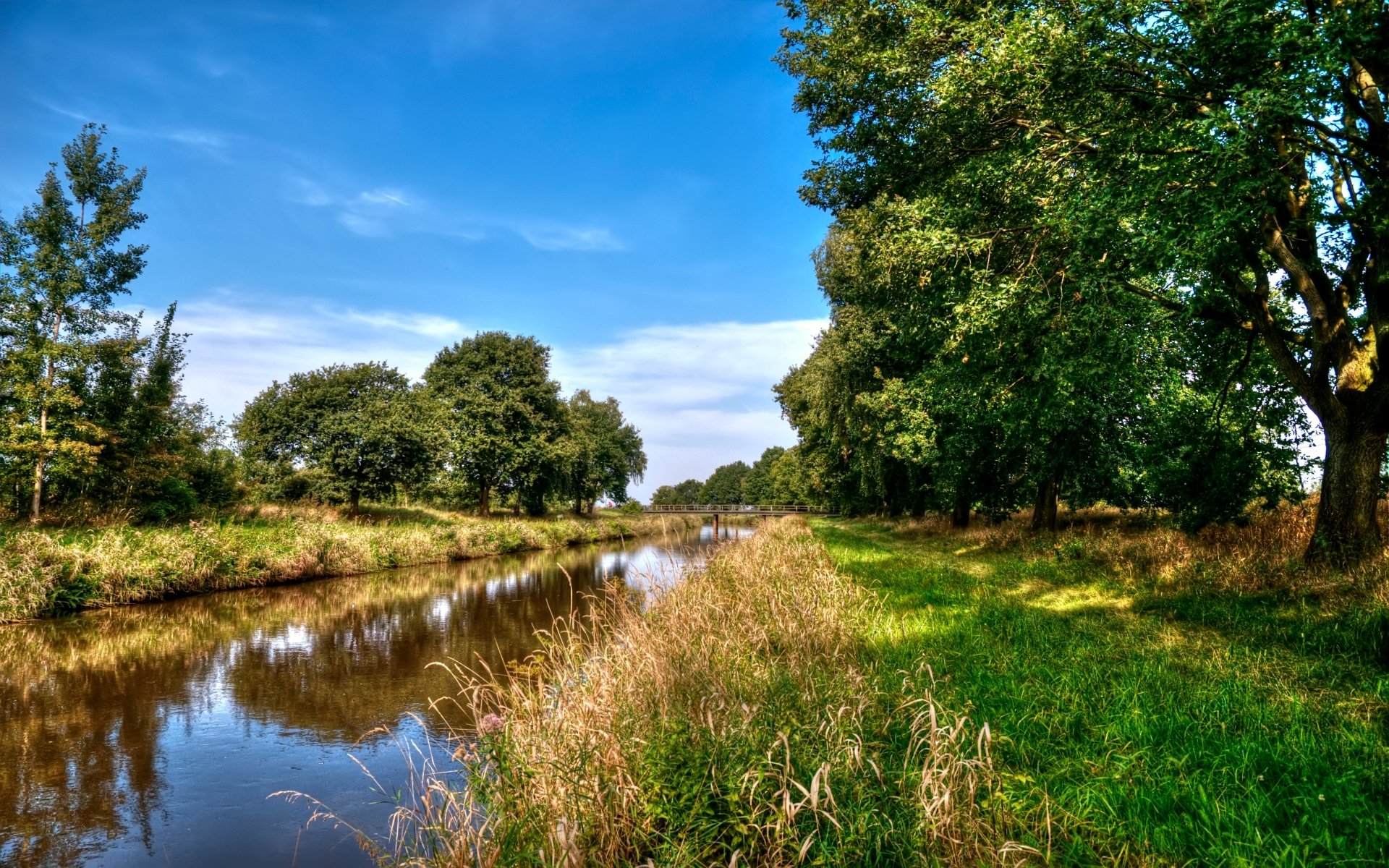 Serene Riverbank: HD Nature Wallpaper | 1920x1200 | Wallpaper Abyss