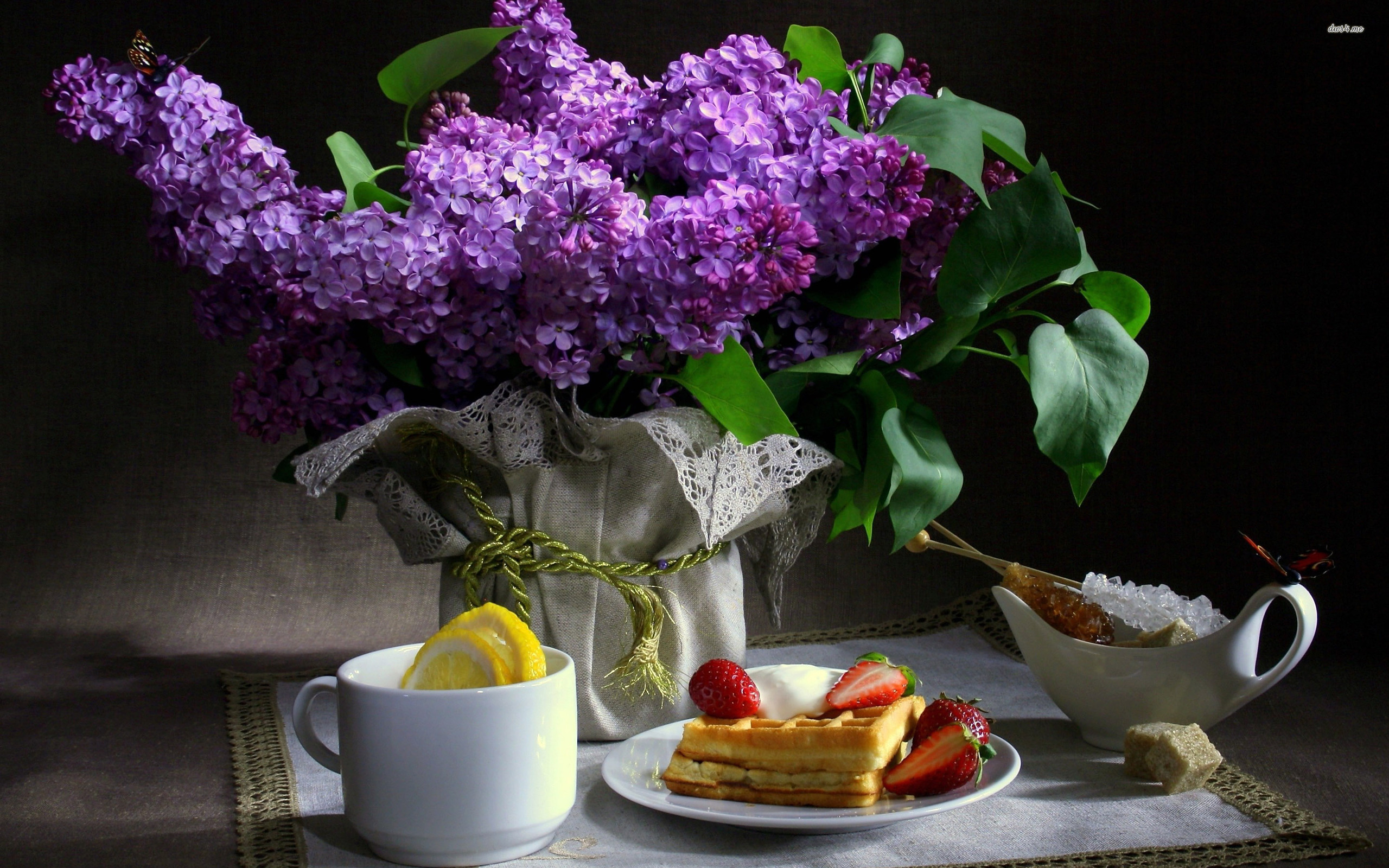 Download Photography Still Life HD Wallpaper