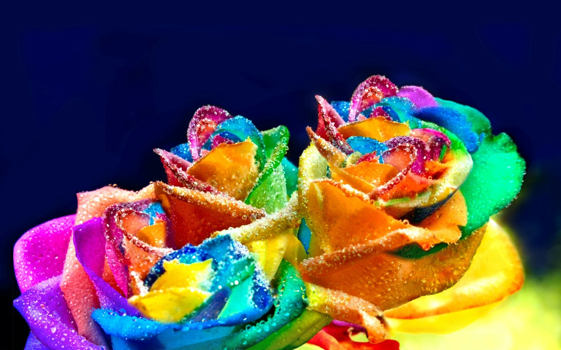 Rainbow Flower Wallpaper