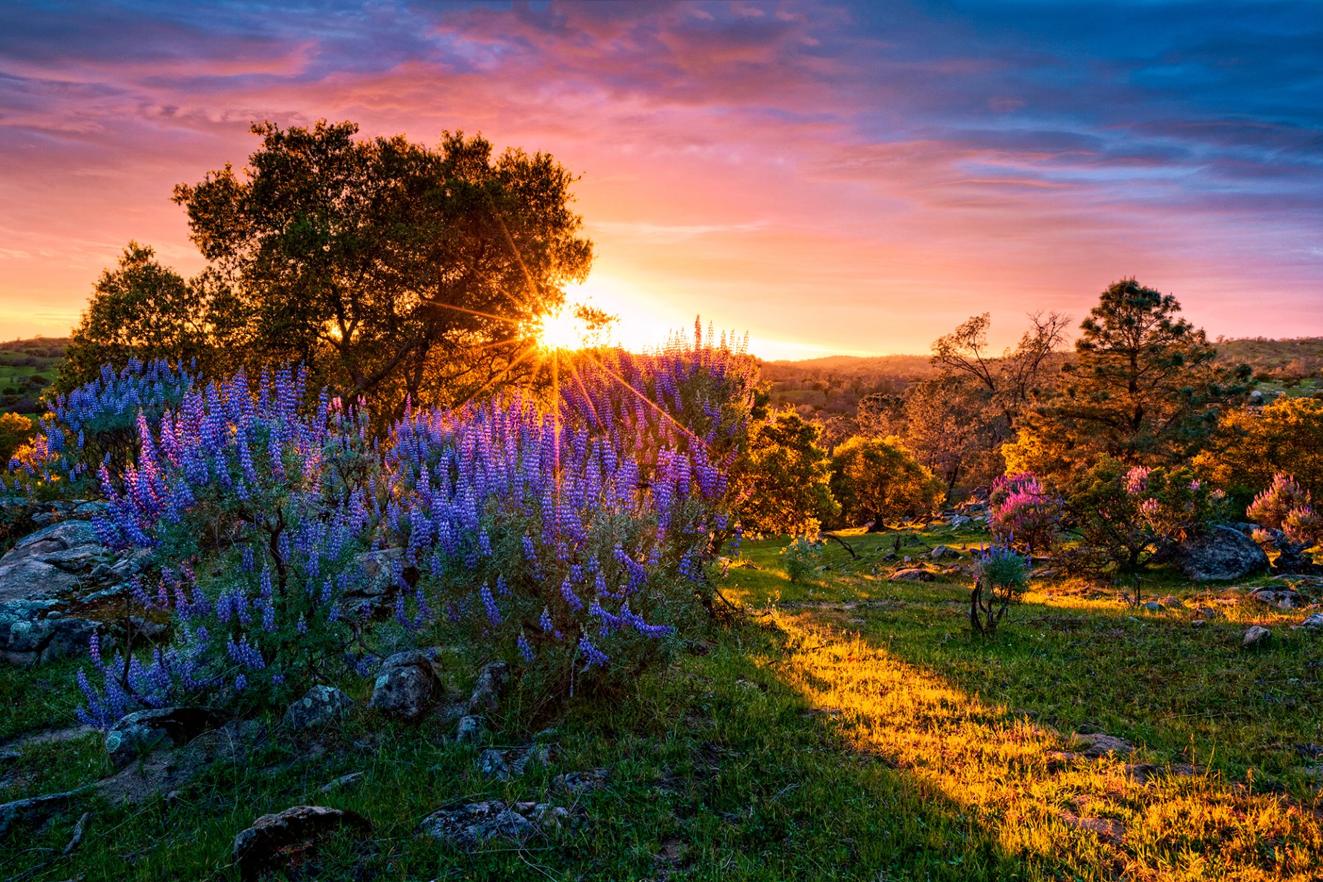 Download Sunrise Nature Sunset HD Wallpaper by Jesse Estes