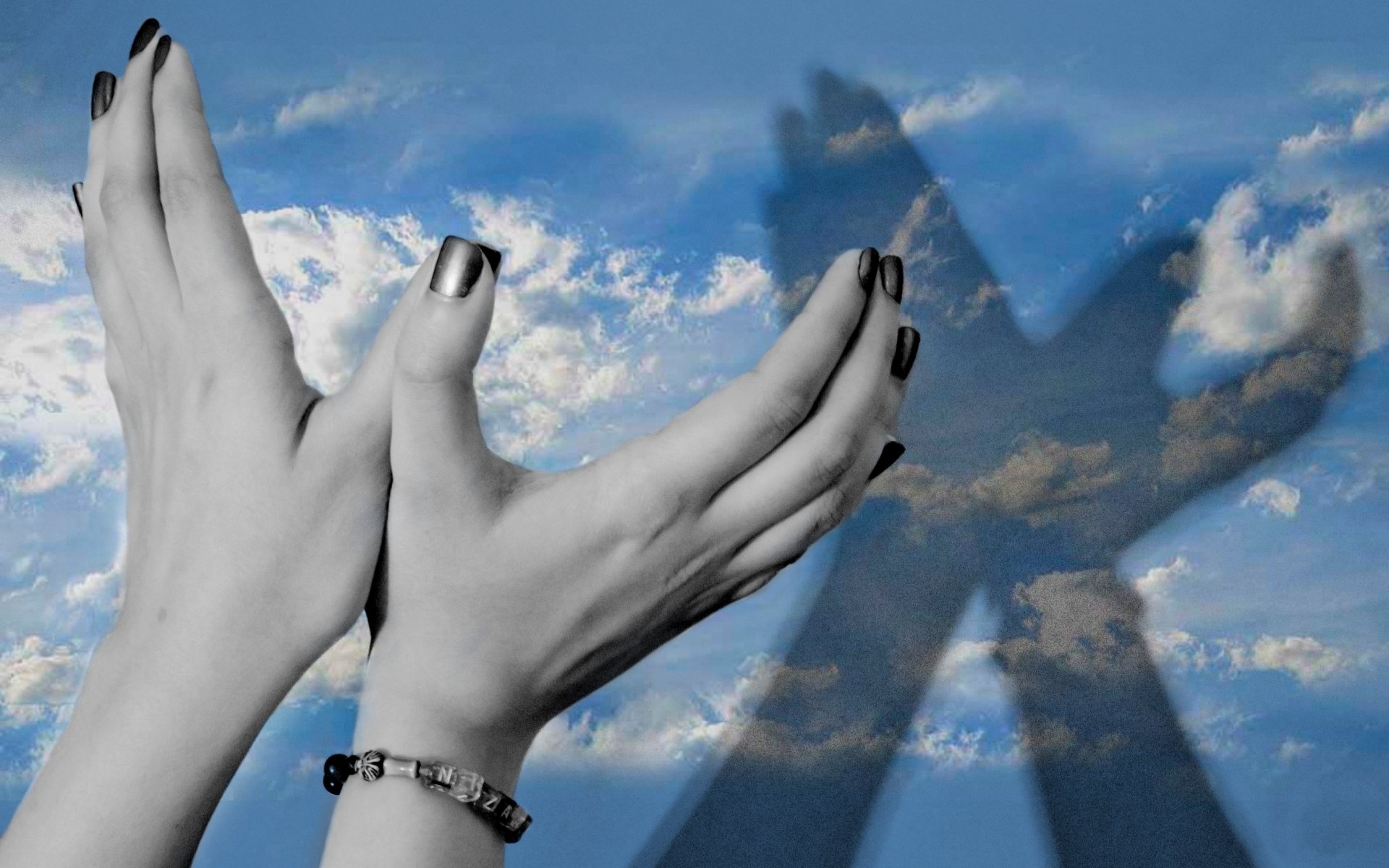 Download Photography Hand HD Wallpaper