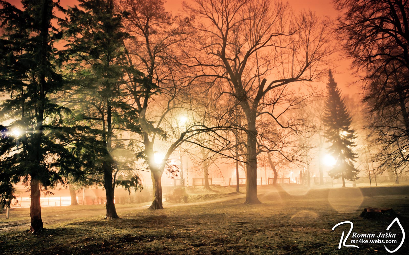 Download Landscape Photography Park Wallpaper by roman jaska