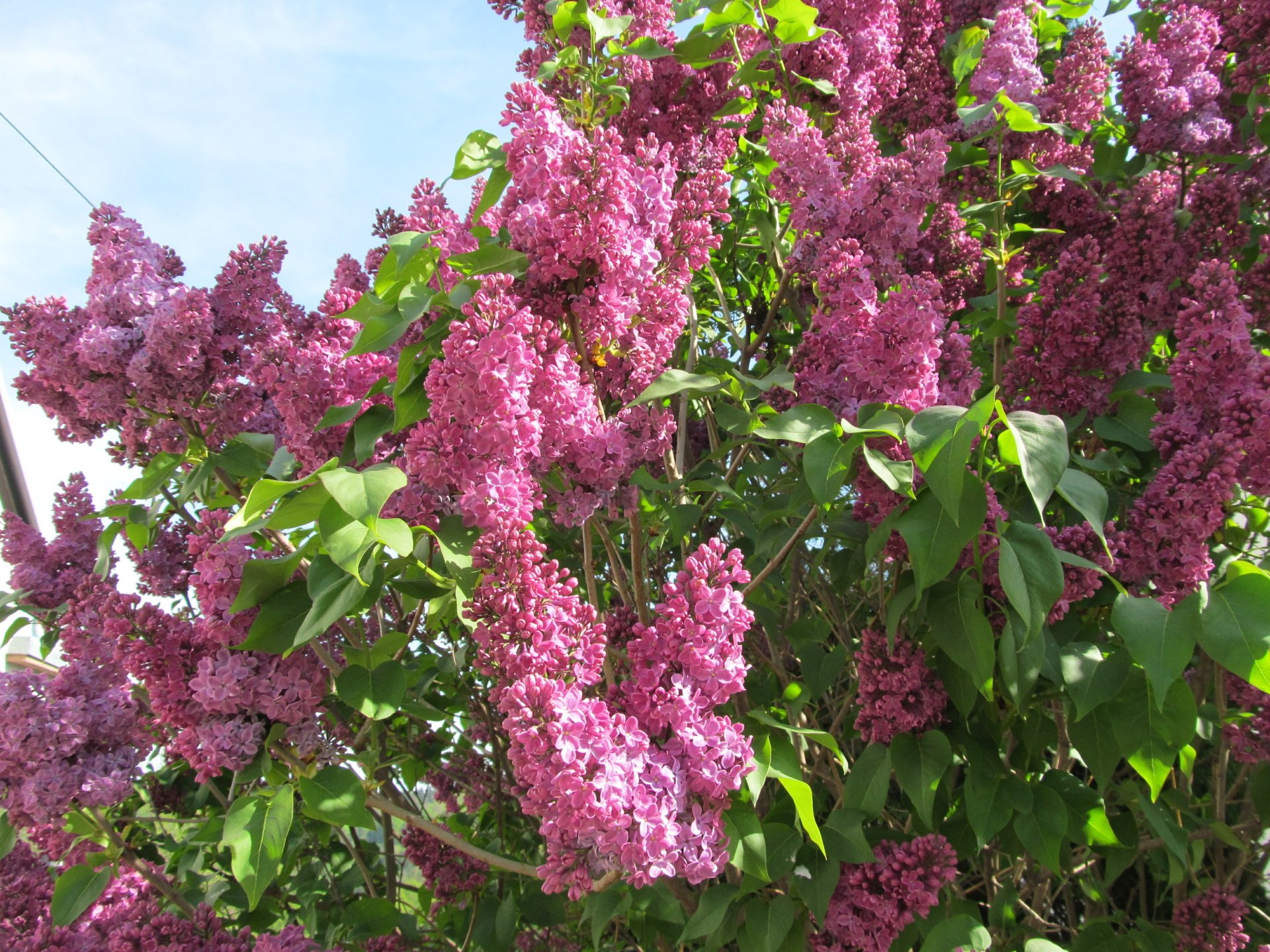 bezeg by AlphaSystem