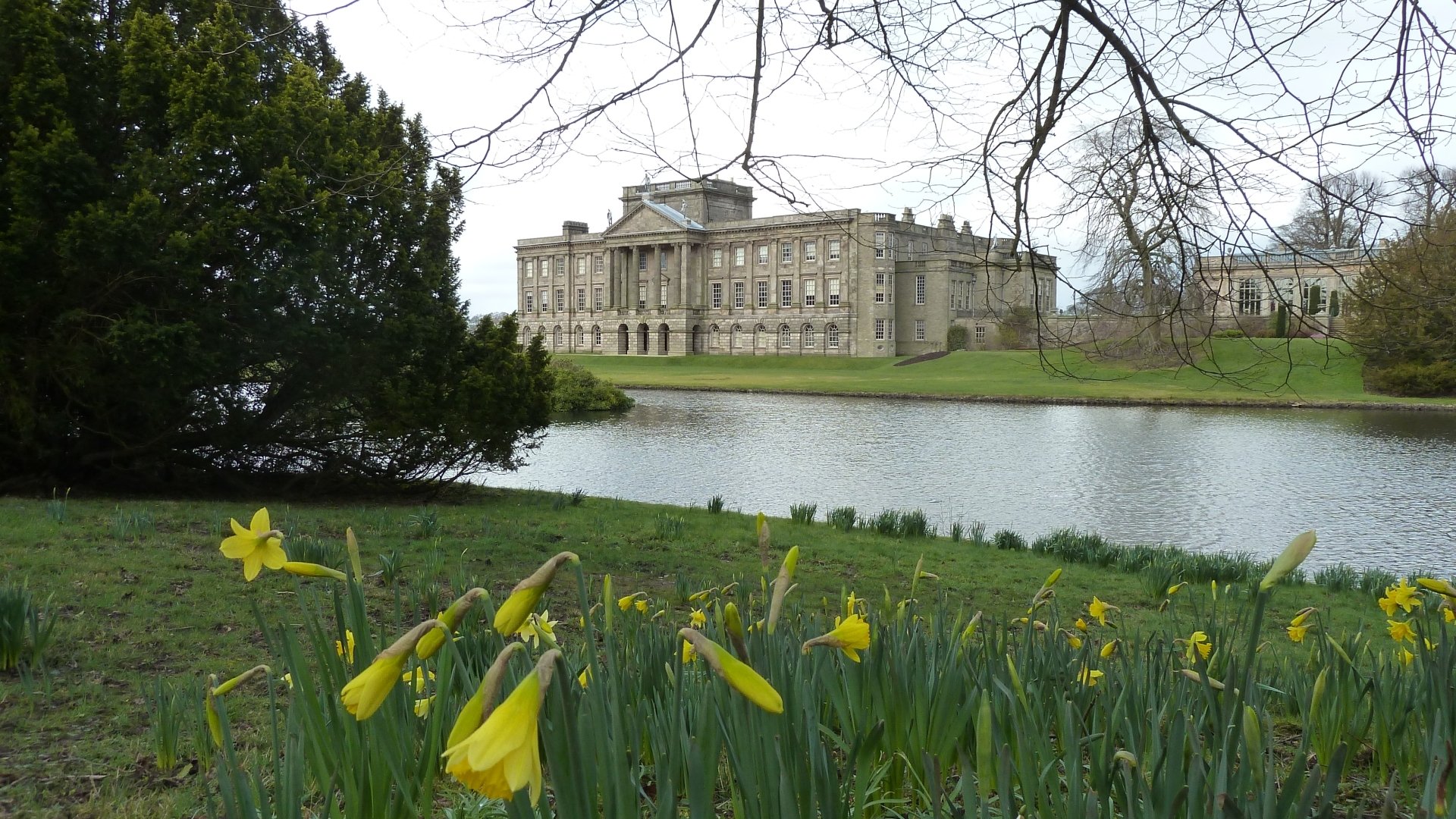Download Man Made Lyme Park HD Wallpaper