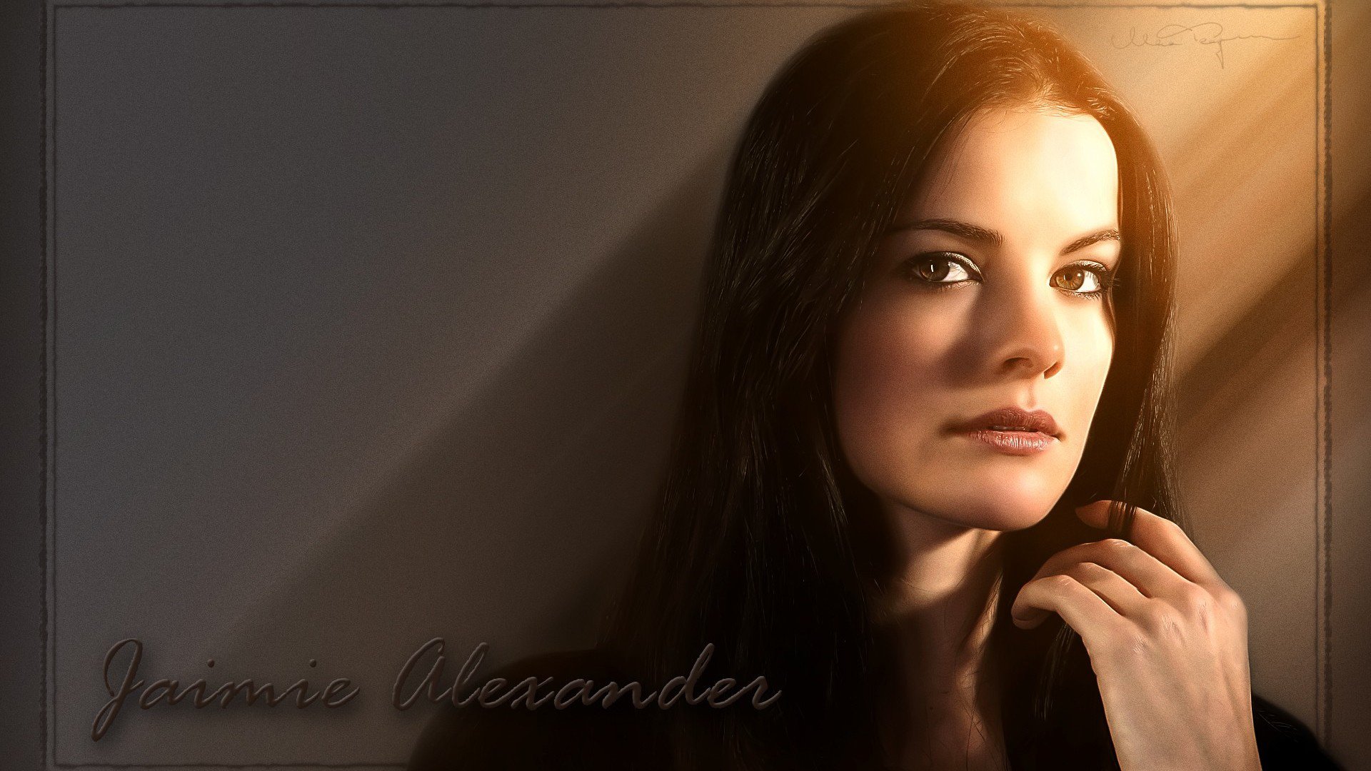 Download American Actress Celebrity Jaimie Alexander HD Wallpaper