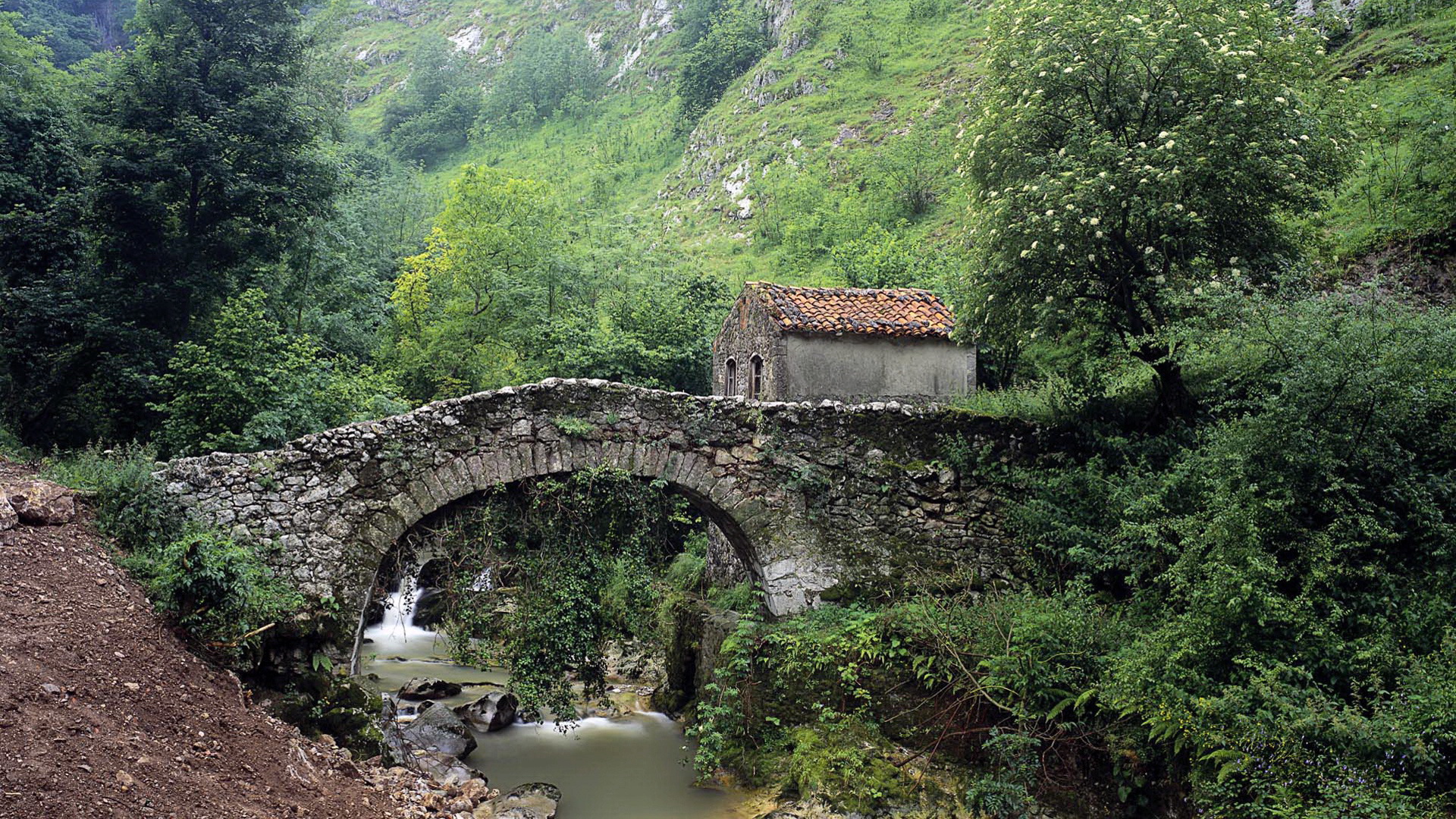 Download House Man Made Bridge HD Wallpaper