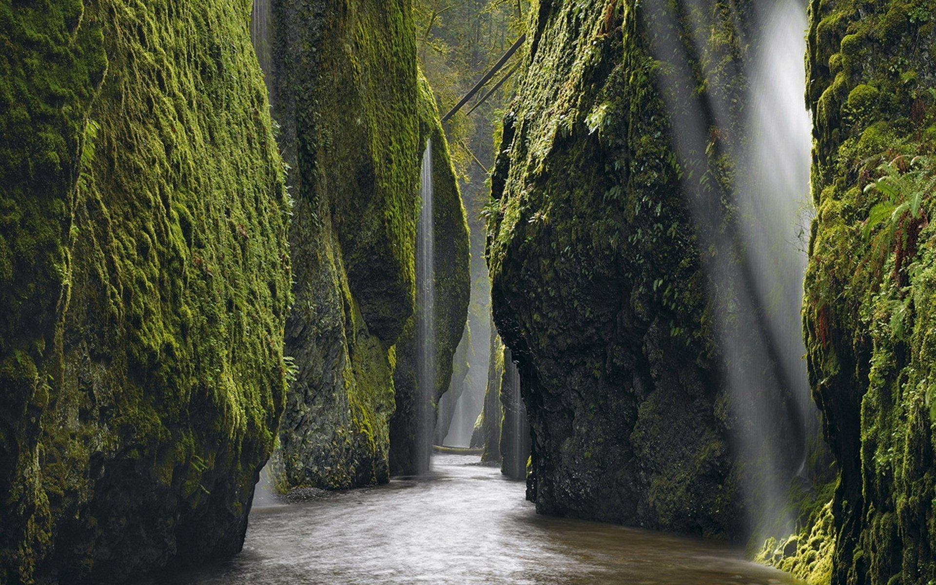 Download Nature River HD Wallpaper | 1920x1200 | Wallpaper Abyss