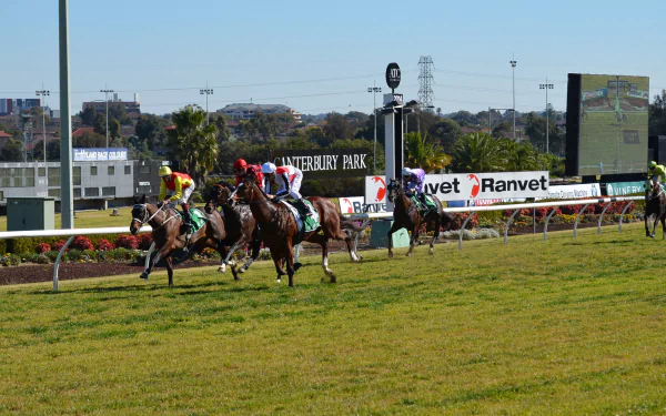 Thrilling Horse Racing Action – HD Sports Wallpaper