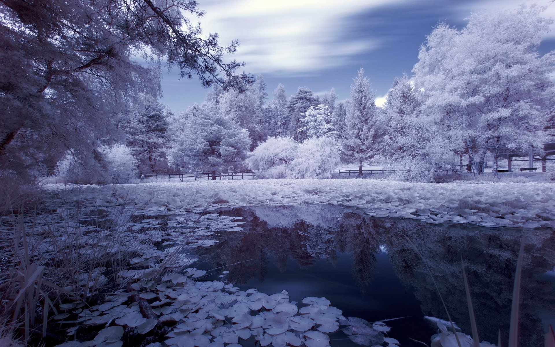 Tranquil Nature Lake: Stunning HD Wallpaper Escape | 1920x1200 ...