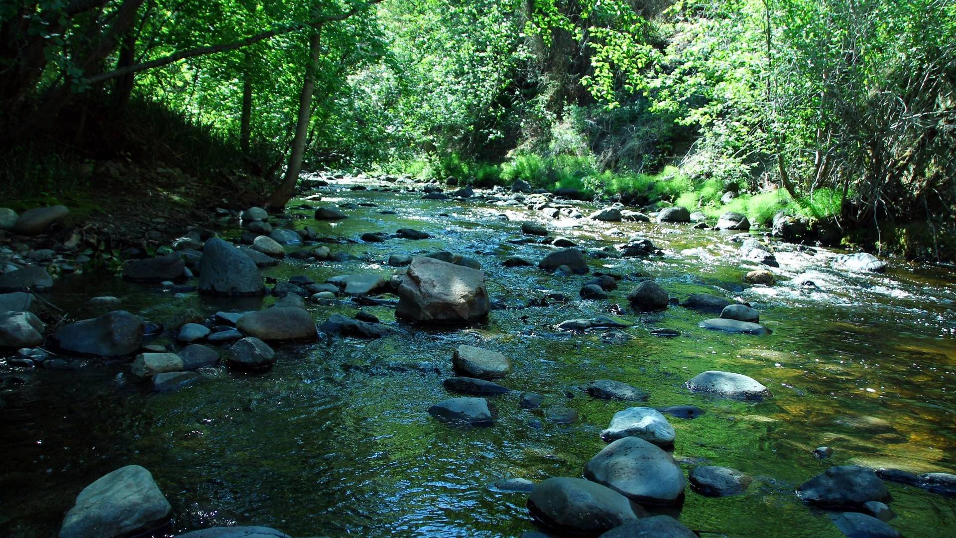 Serenity Stream - HD River Wallpaper