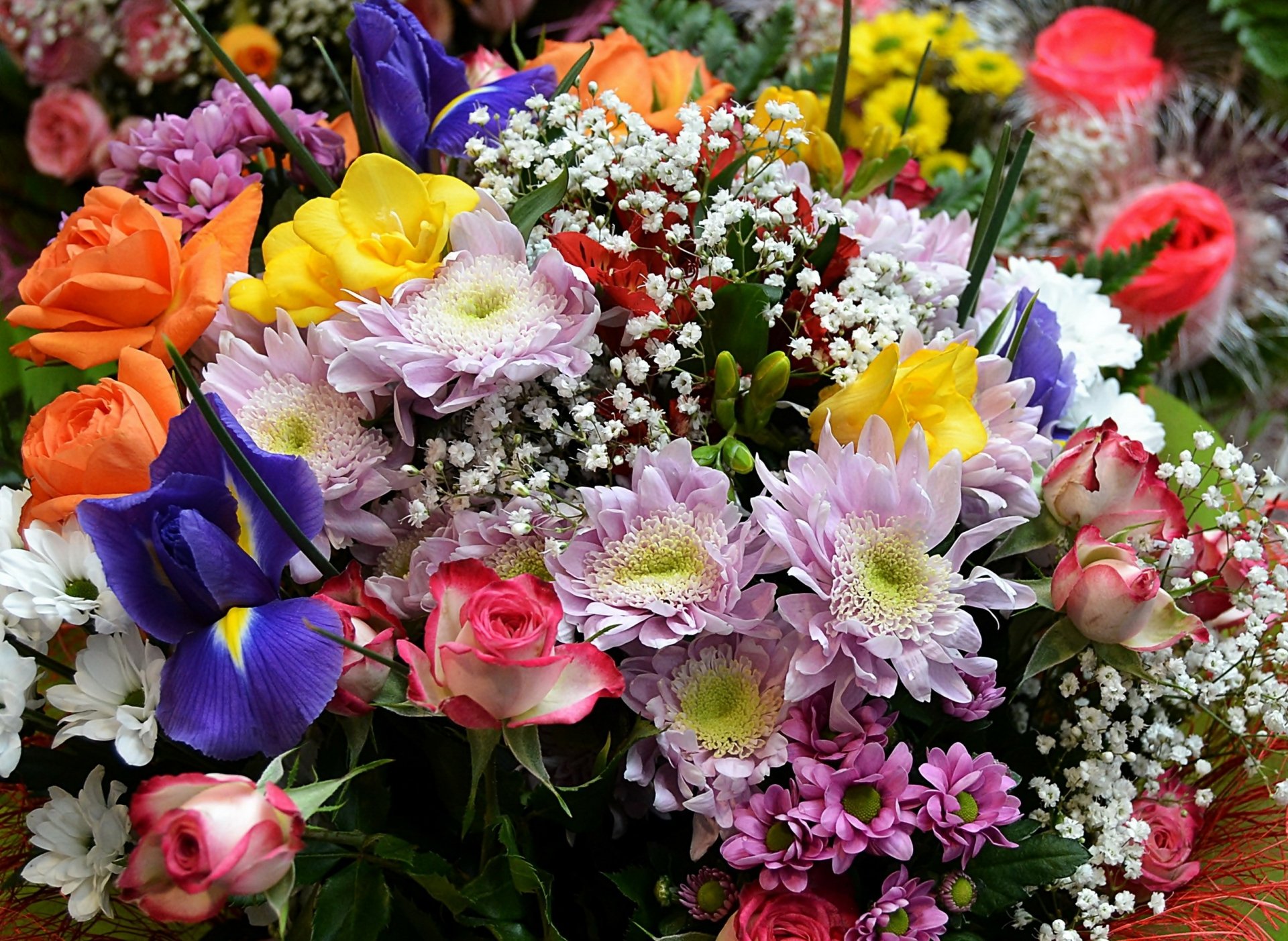 Vibrant Nature: HD Floral Symphony Wallpaper | 2600x1900 | Wallpaper Abyss