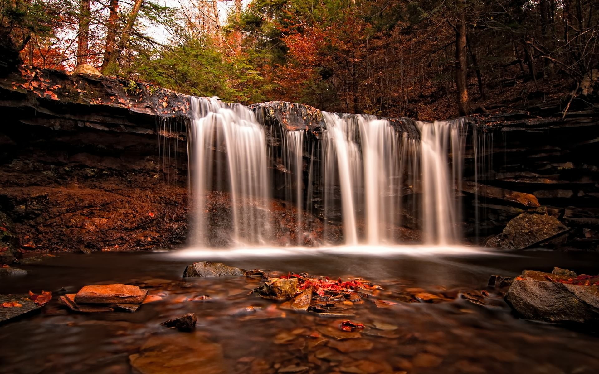Autumn Cascade — HD Forest Waterfall Wallpaper | 1920x1200 | Wallpaper ...