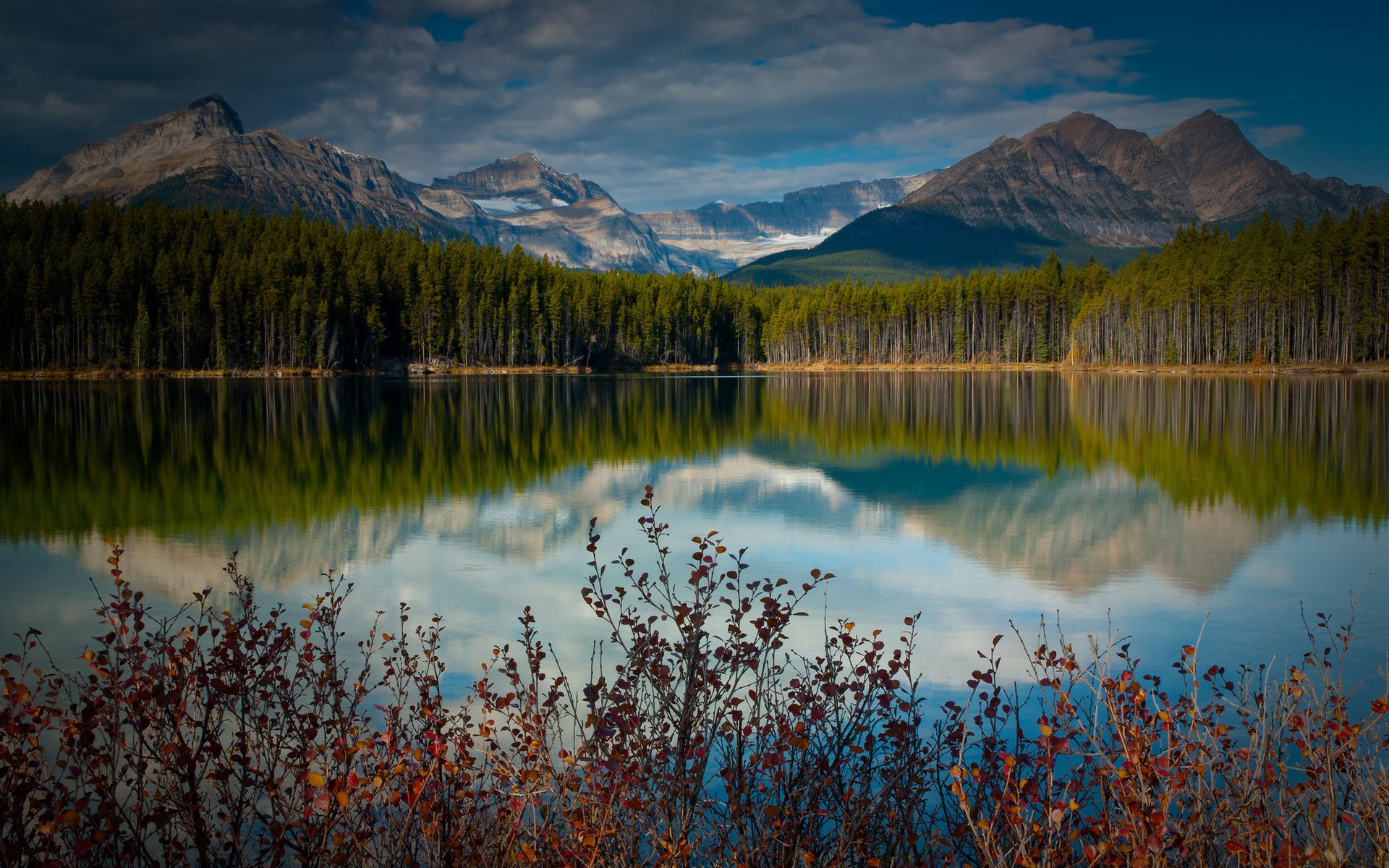 Download Nature River HD Wallpaper