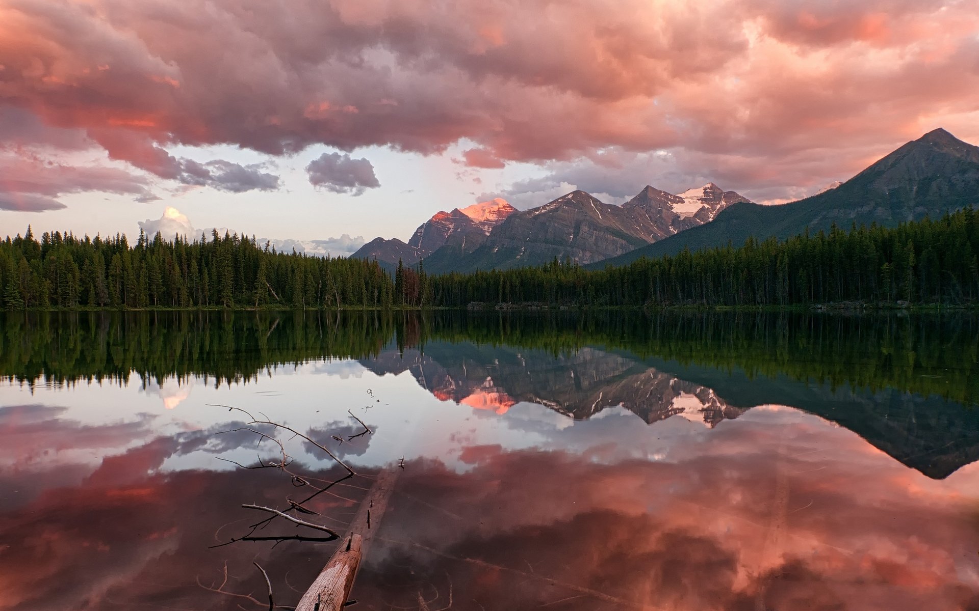 Download Nature Reflection HD Wallpaper | 1920x1200 | Wallpaper Abyss