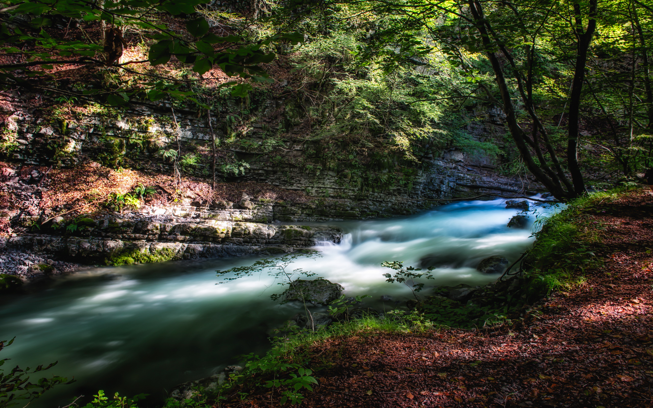 Download Nature River HD Wallpaper