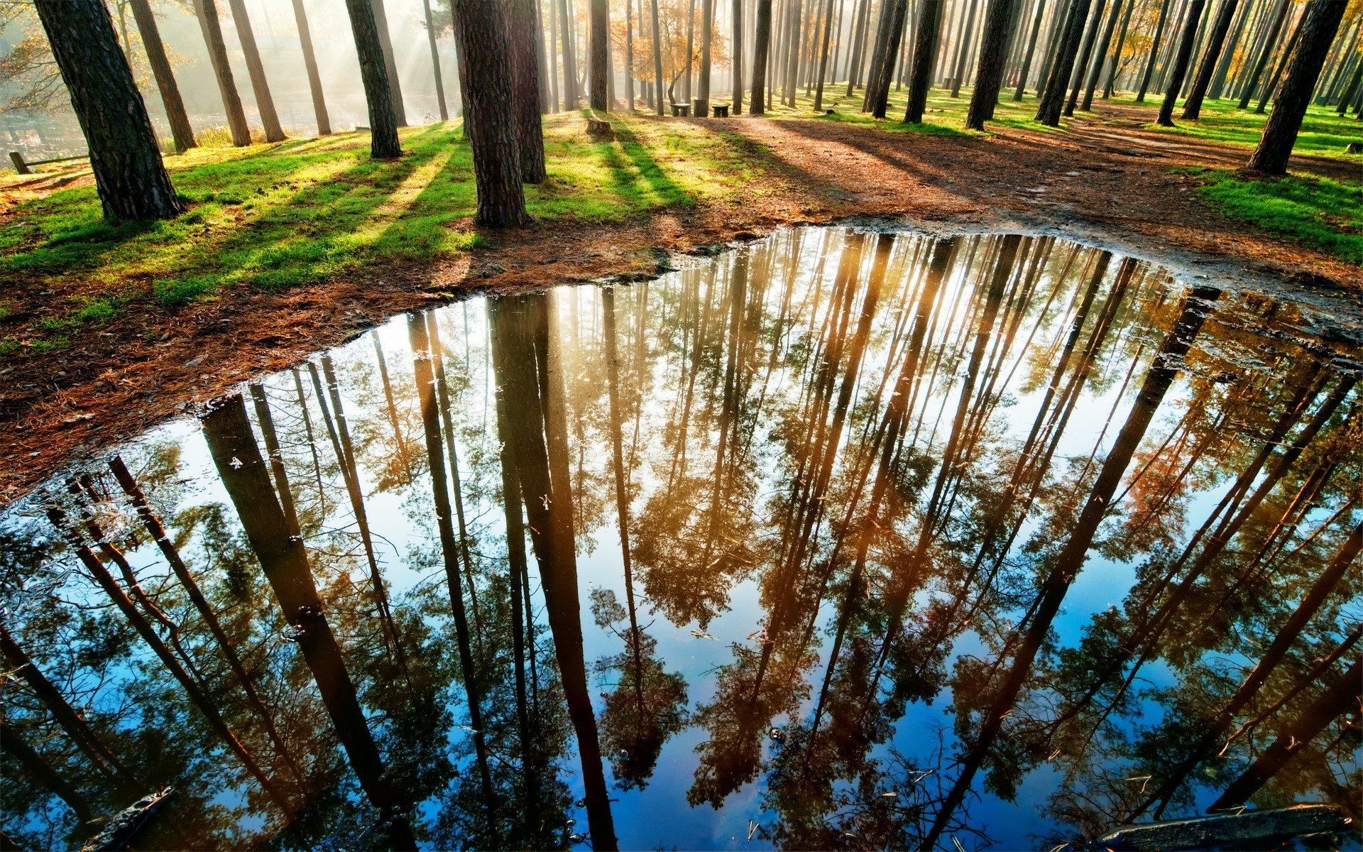 Download Nature Reflection HD Wallpaper