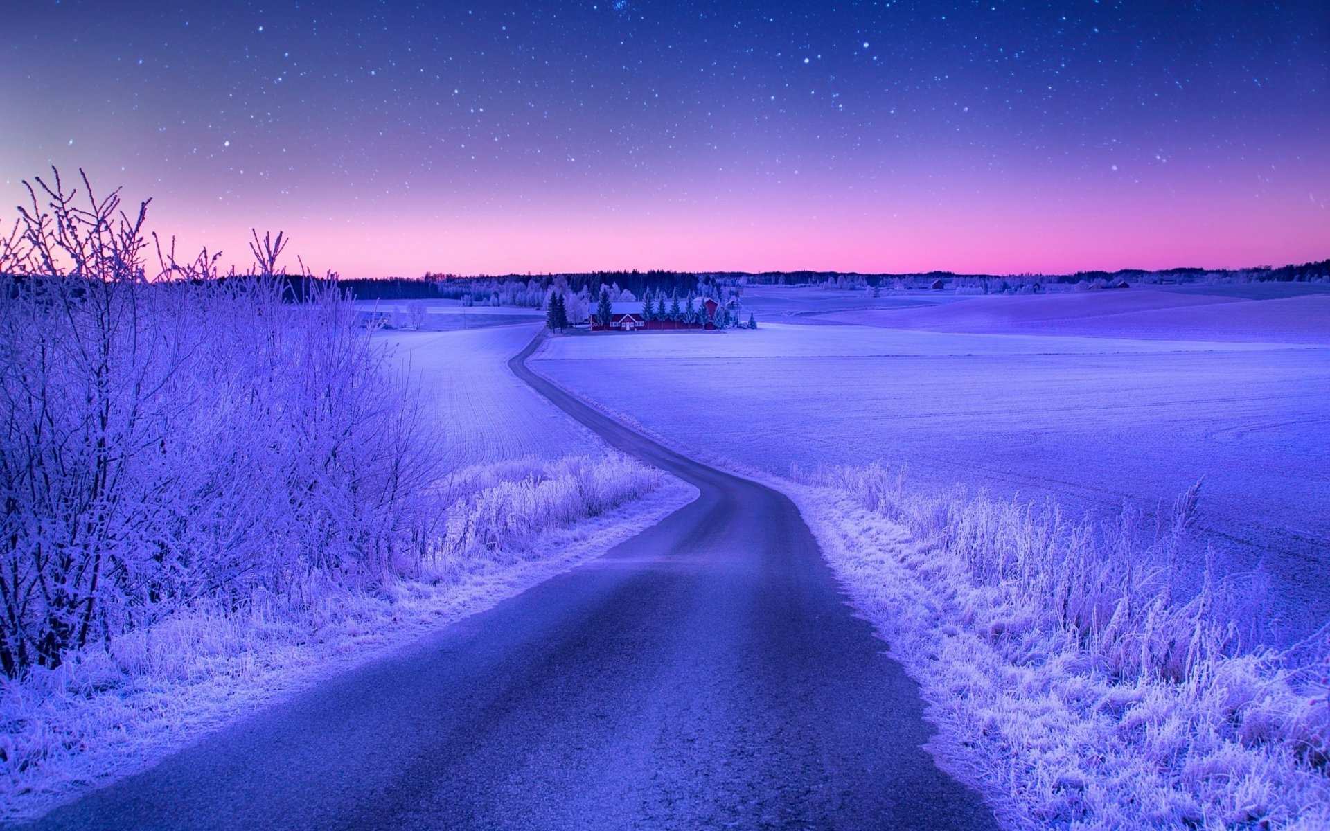 Winter Night Road: Serene Snowy Path in HD Nature Wallpaper