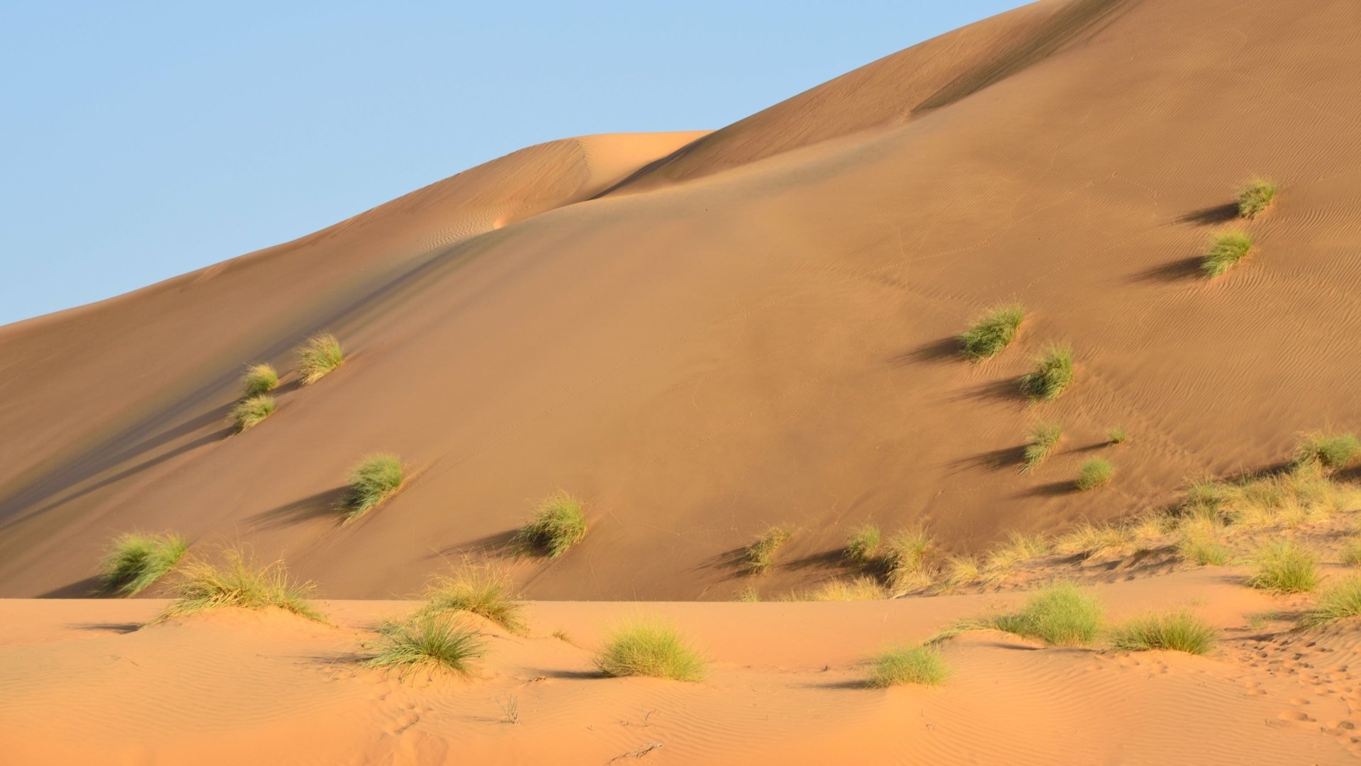 Download Nature Desert 4k Ultra HD Wallpaper | 3840x2160 | Wallpaper Abyss