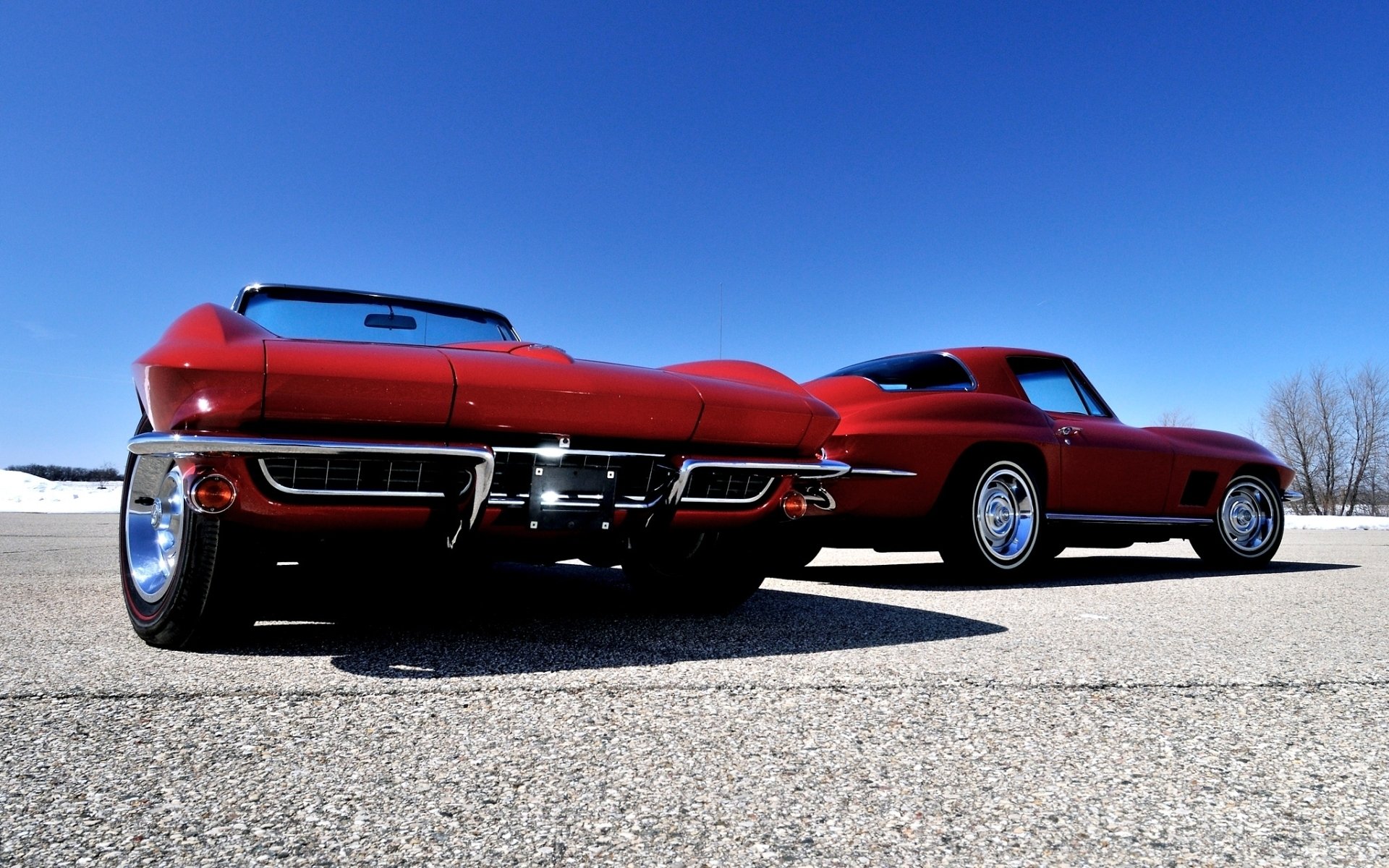 Stunning HD Chevrolet Corvette Duo Wallpaper