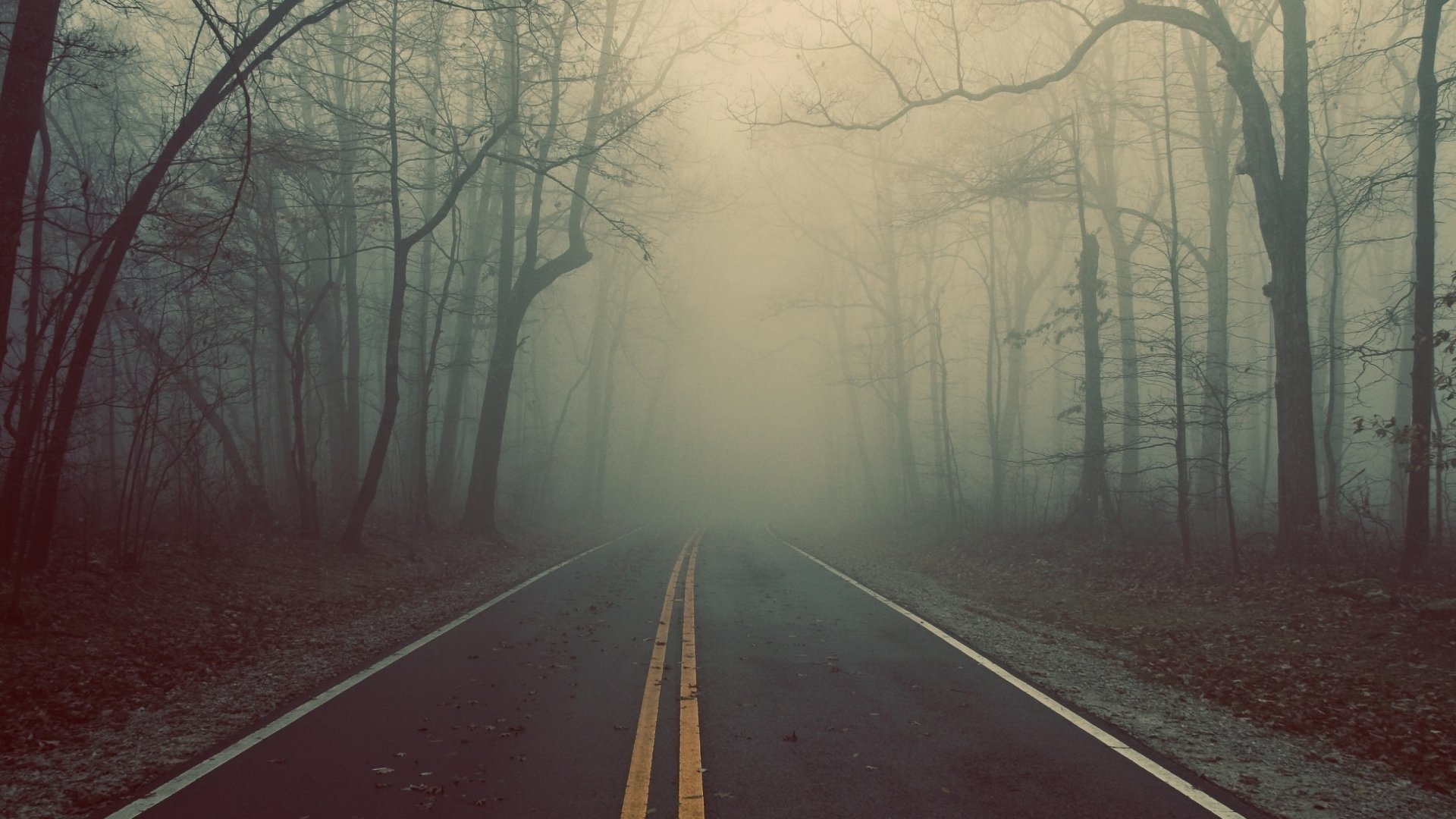Download Man Made Road HD Wallpaper | 2560x1440 | Wallpaper Abyss