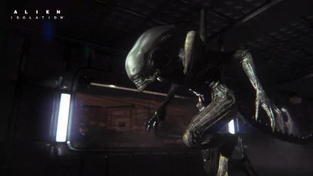 Alien: Isolation - Desktop Wallpapers, Phone Wallpaper, PFP, Gifs, and ...