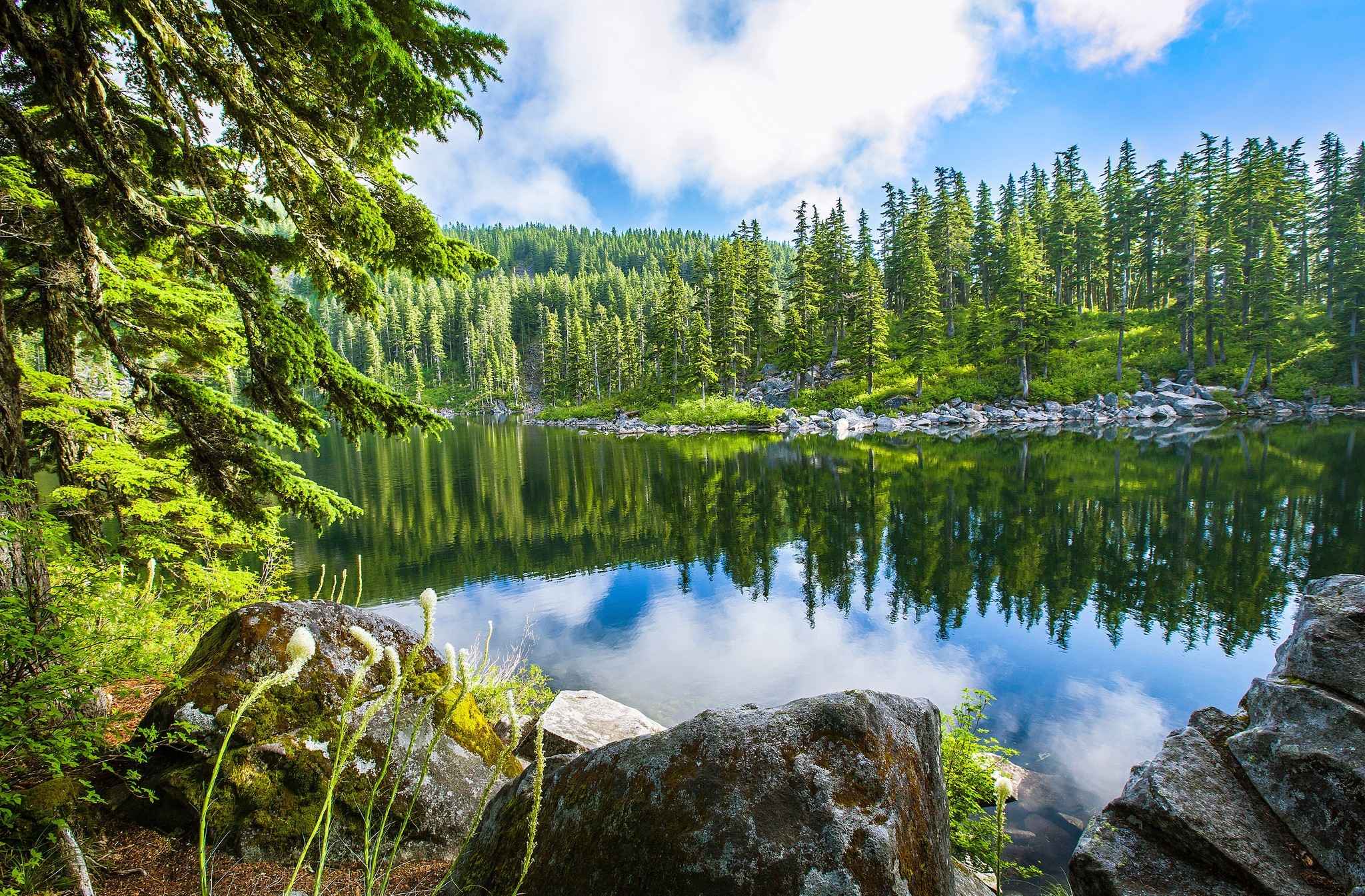 Nature Lake HD Wallpaper