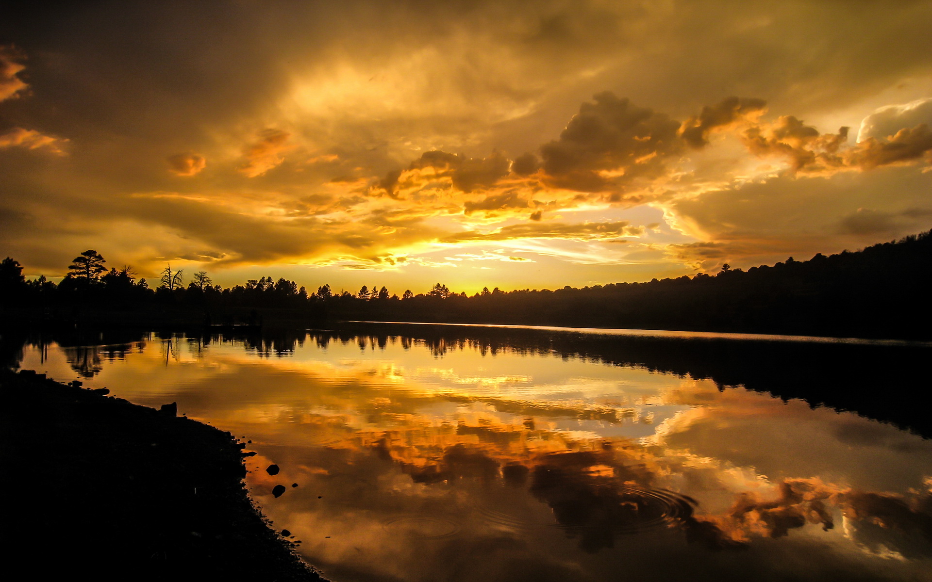 Download Nature Reflection HD Wallpaper