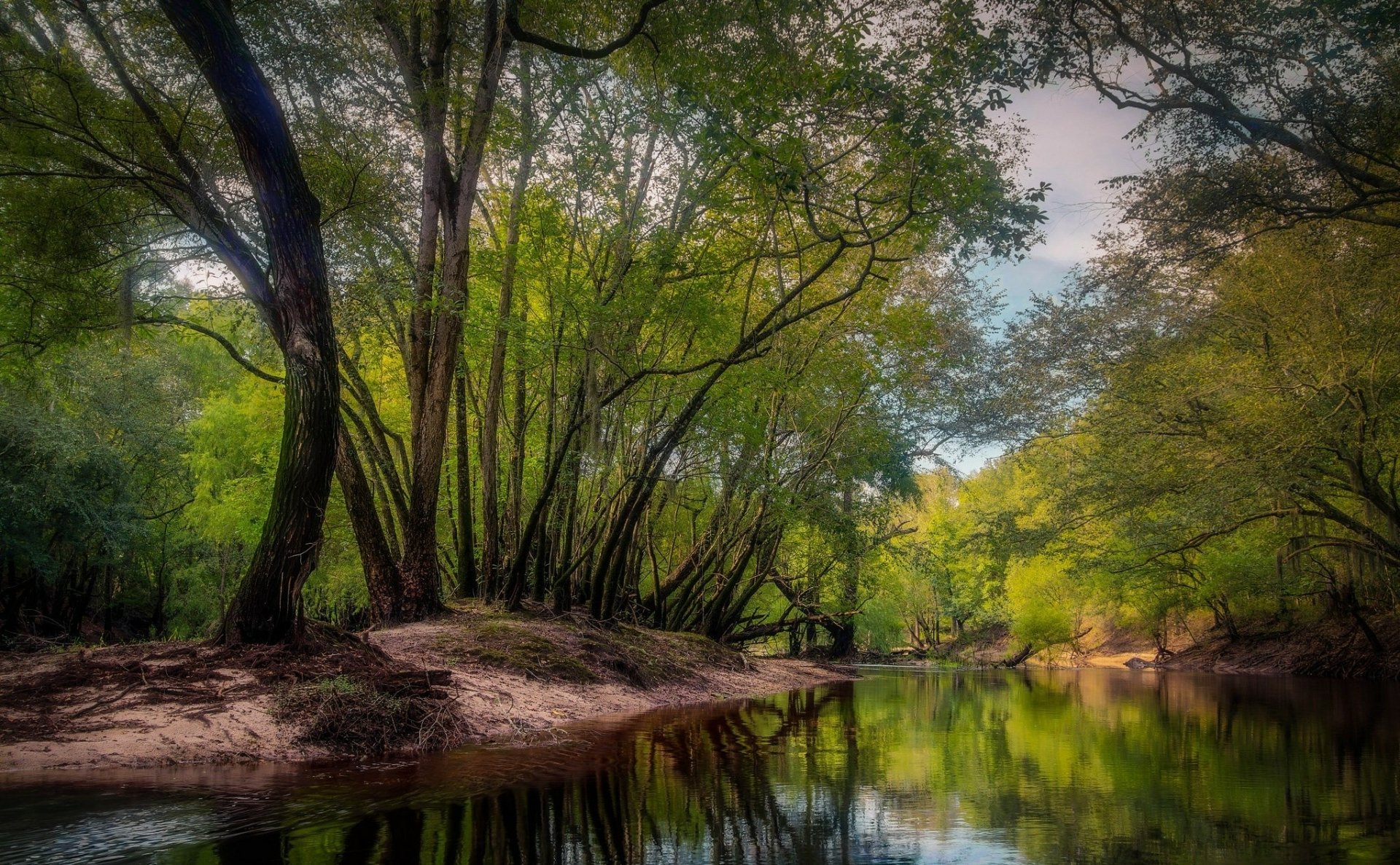 Tranquil Stream: A Stunning HD Nature Wallpaper