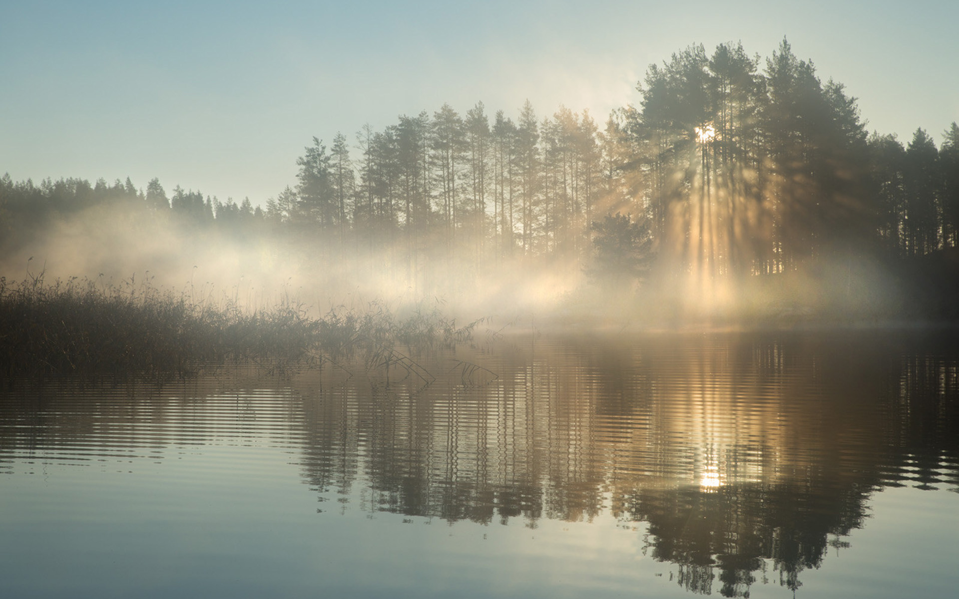 Nature Sunbeam HD Wallpaper by Jorma Hevonkoski