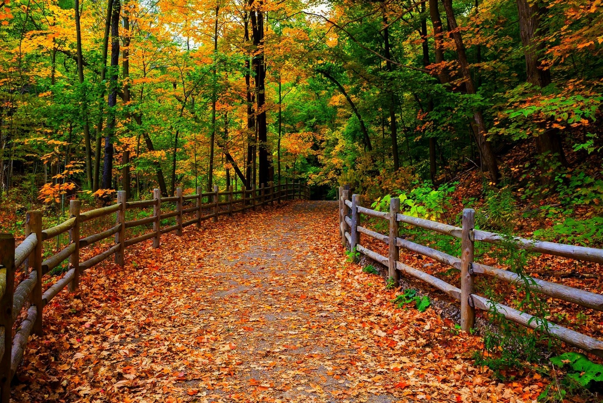 Download Fall Man Made Path HD Wallpaper