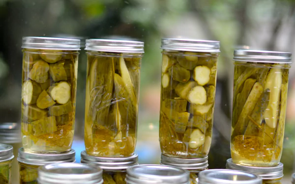 [20+] Pickle Wallpapers