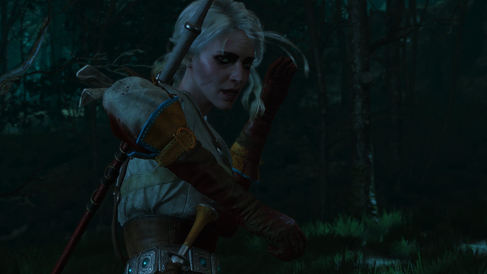 Download Ciri (The Witcher) The Witcher Video Game The Witcher 3: Wild ...